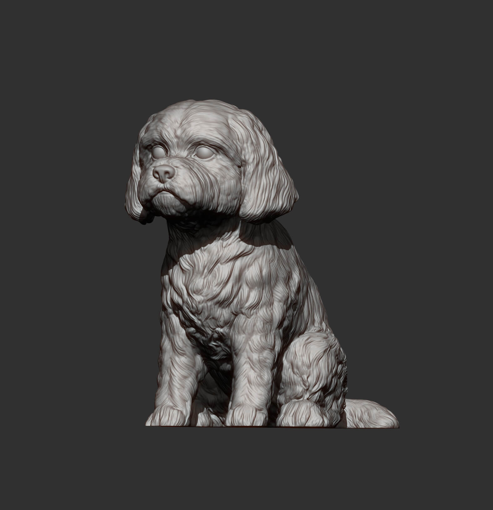 Maltese Dog Sitting - 3D Model by Alexander3dart