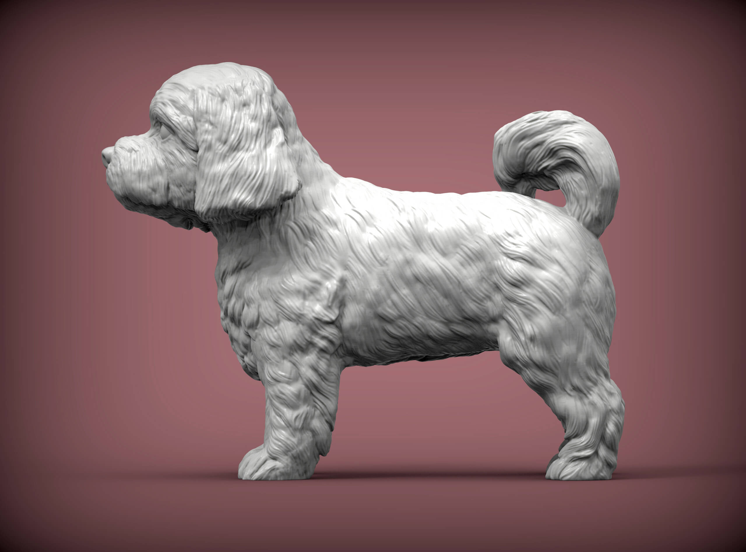 Maltese Dog Statue 3D Print Model by Alexander3dart