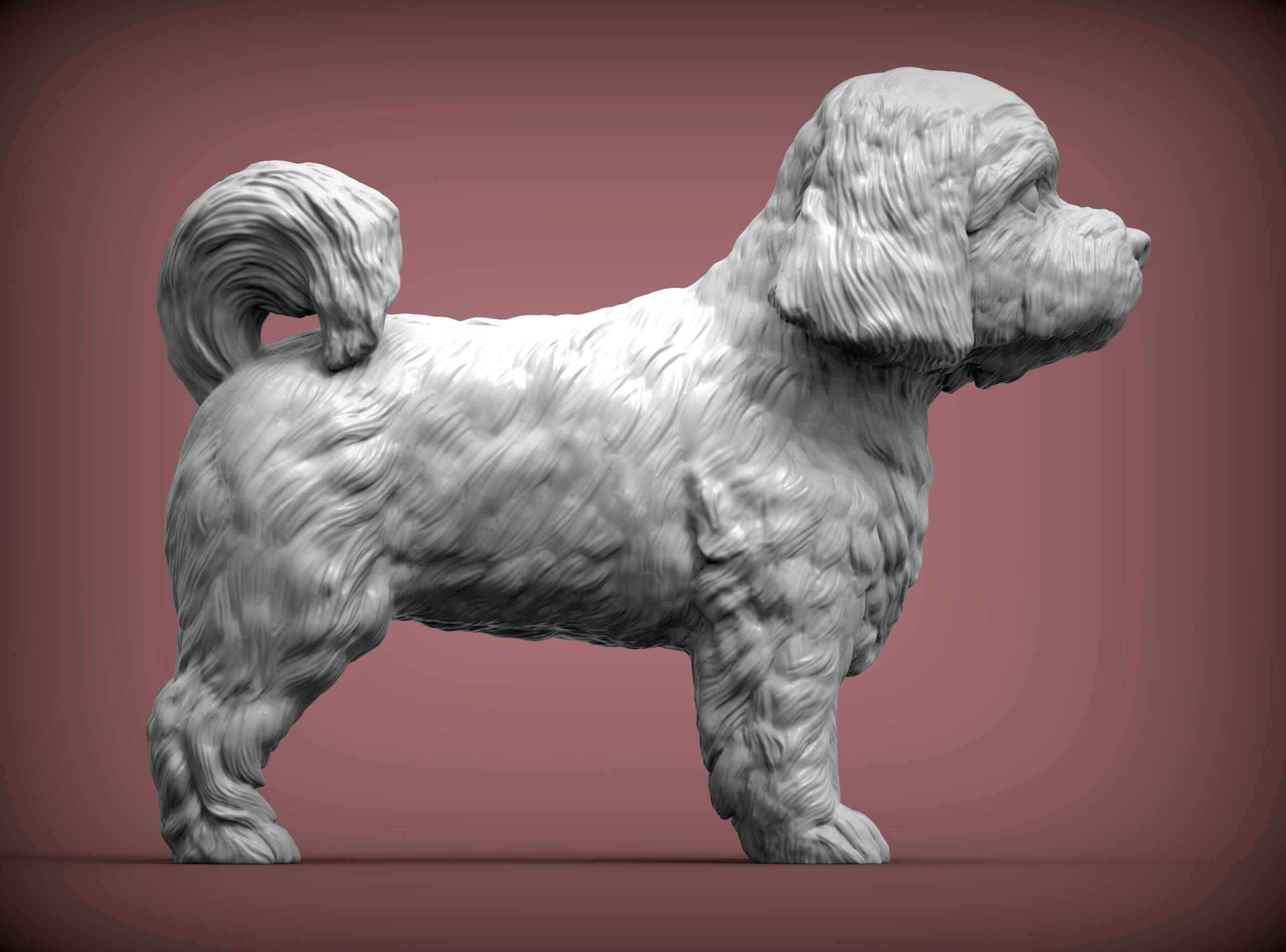 Maltese Dog Statue 3D Print Model by Alexander3dart