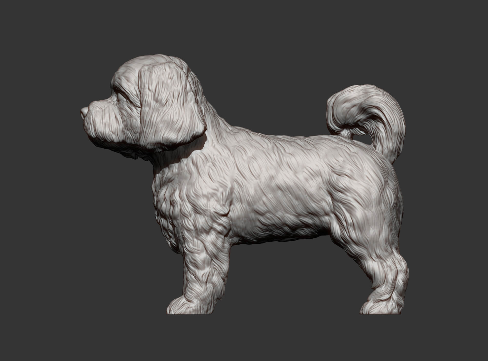 Maltese Dog Statue 3D Print Model by Alexander3dart