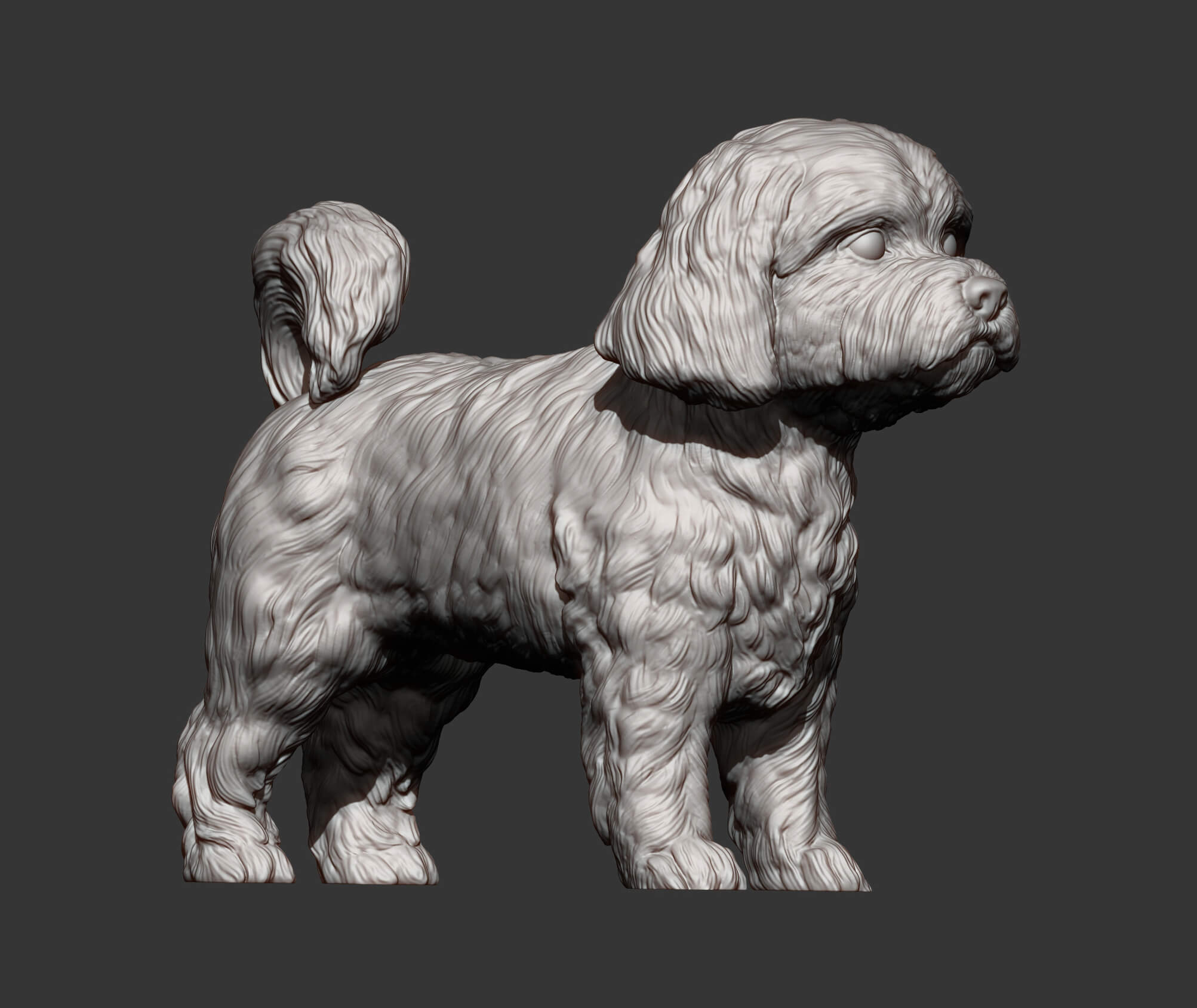 Maltese Dog Statue 3D Print Model by Alexander3dart