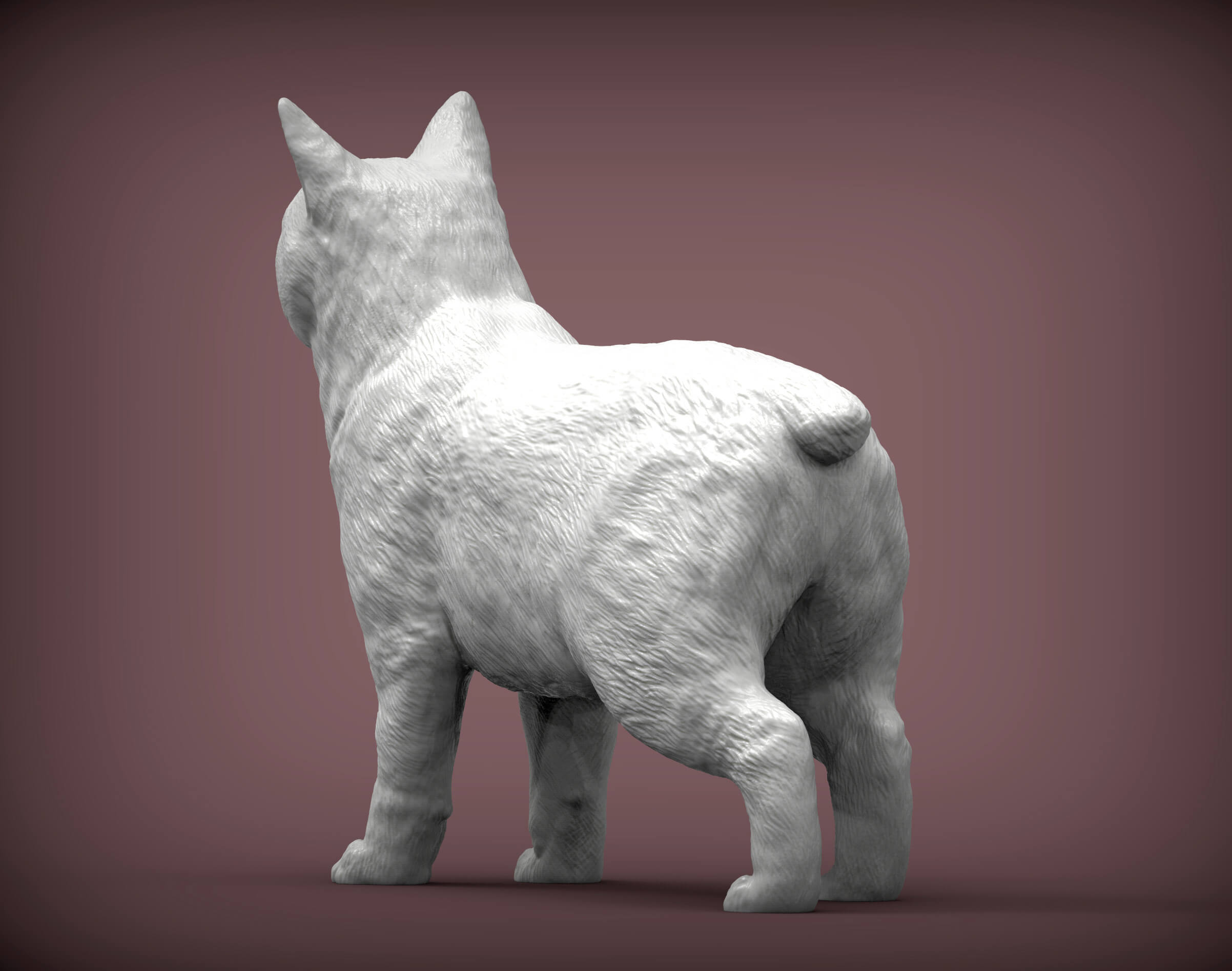 Manx Cat 3D Print Model by Alexander3dart