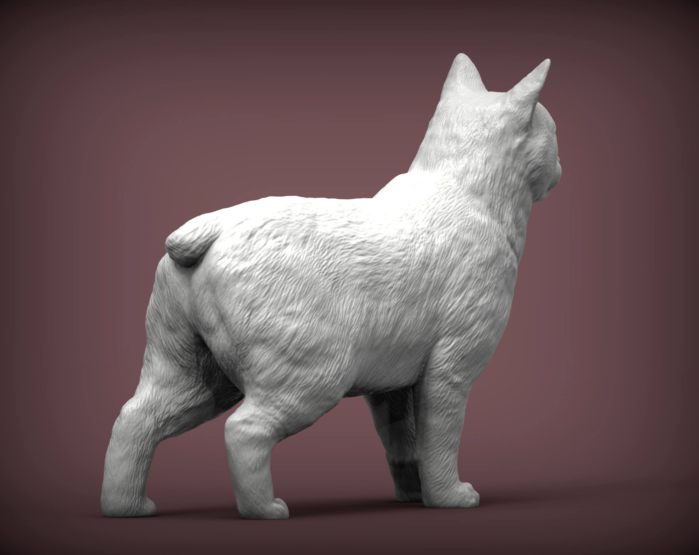 Manx Cat 3D Print Model by Alexander3dart