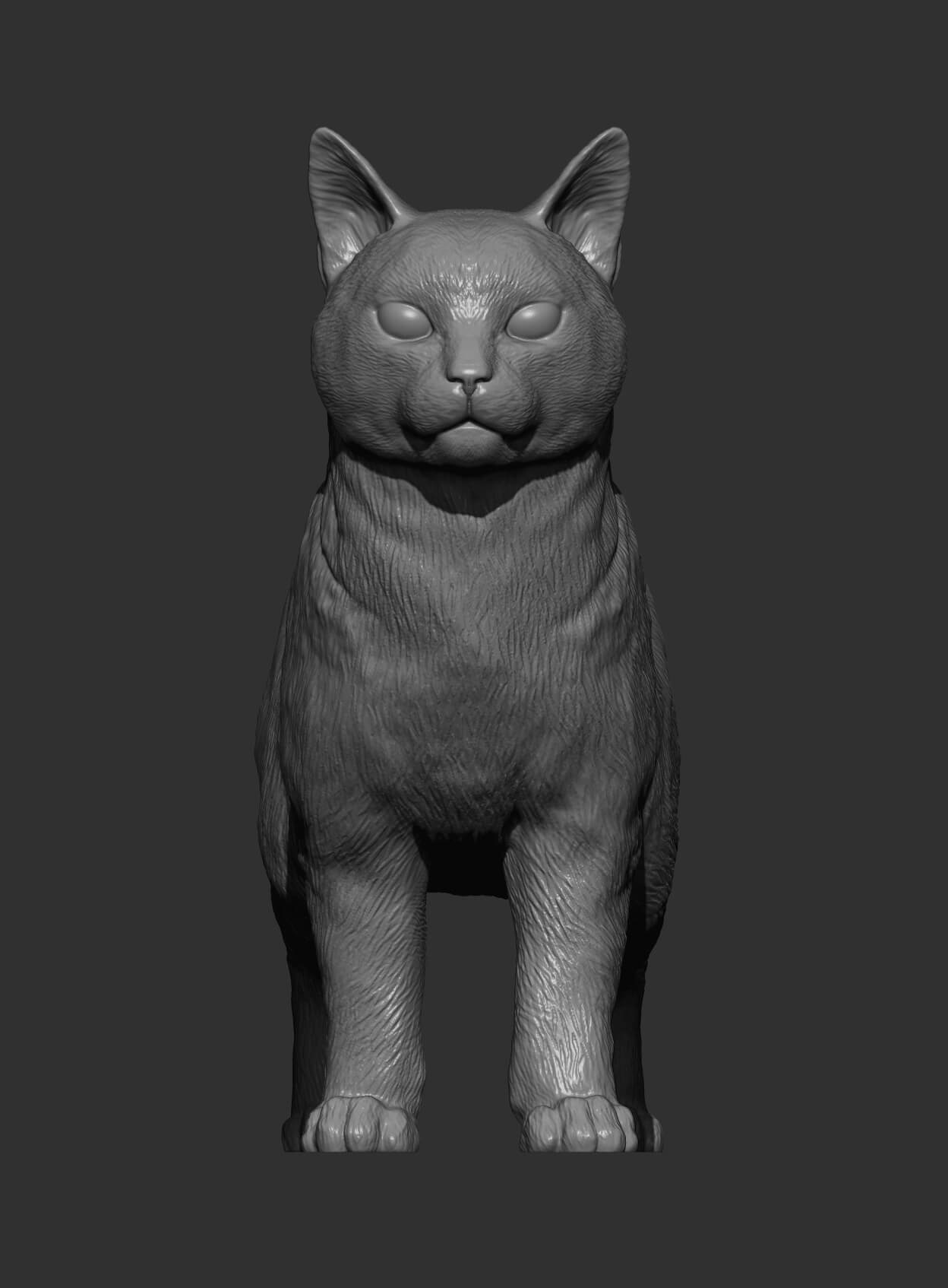Manx Cat 3D Print Model by Alexander3dart