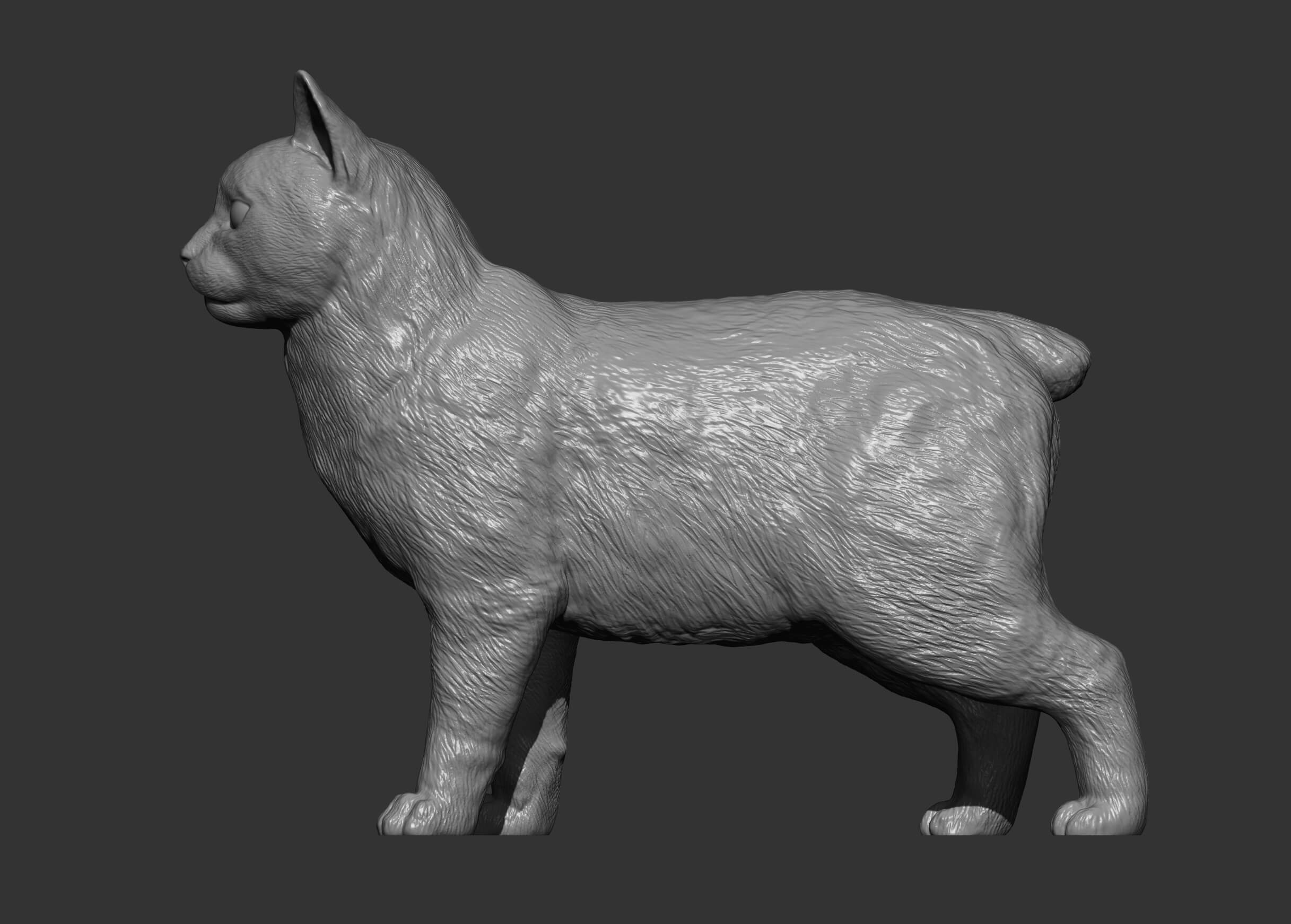 Manx Cat 3D Print Model by Alexander3dart