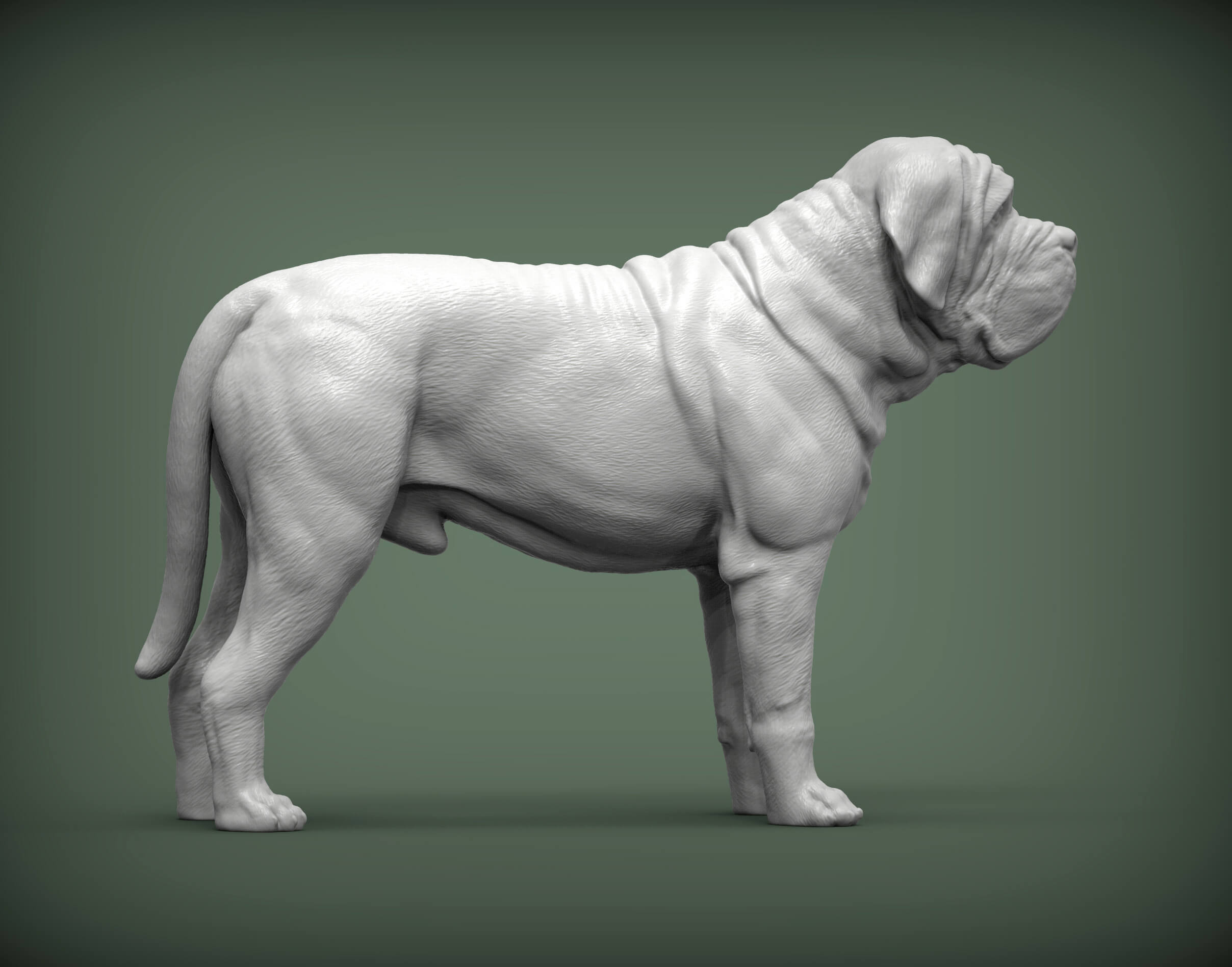 Mastiff Stands - 3D Model by Alexander3dart