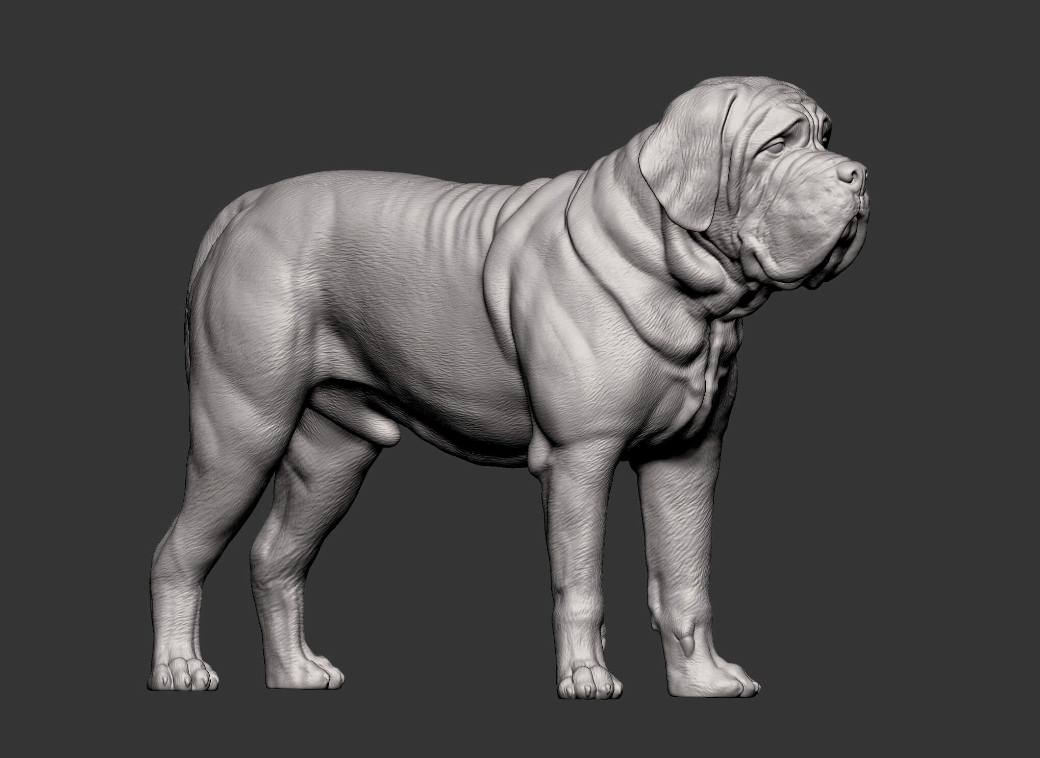 Mastiff Stands - 3D Model by Alexander3dart