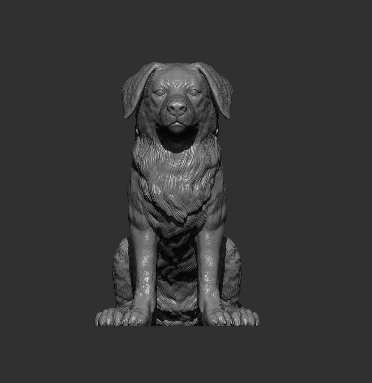 Miniature Australian Shepherd - 3D Model by Alexander3dart