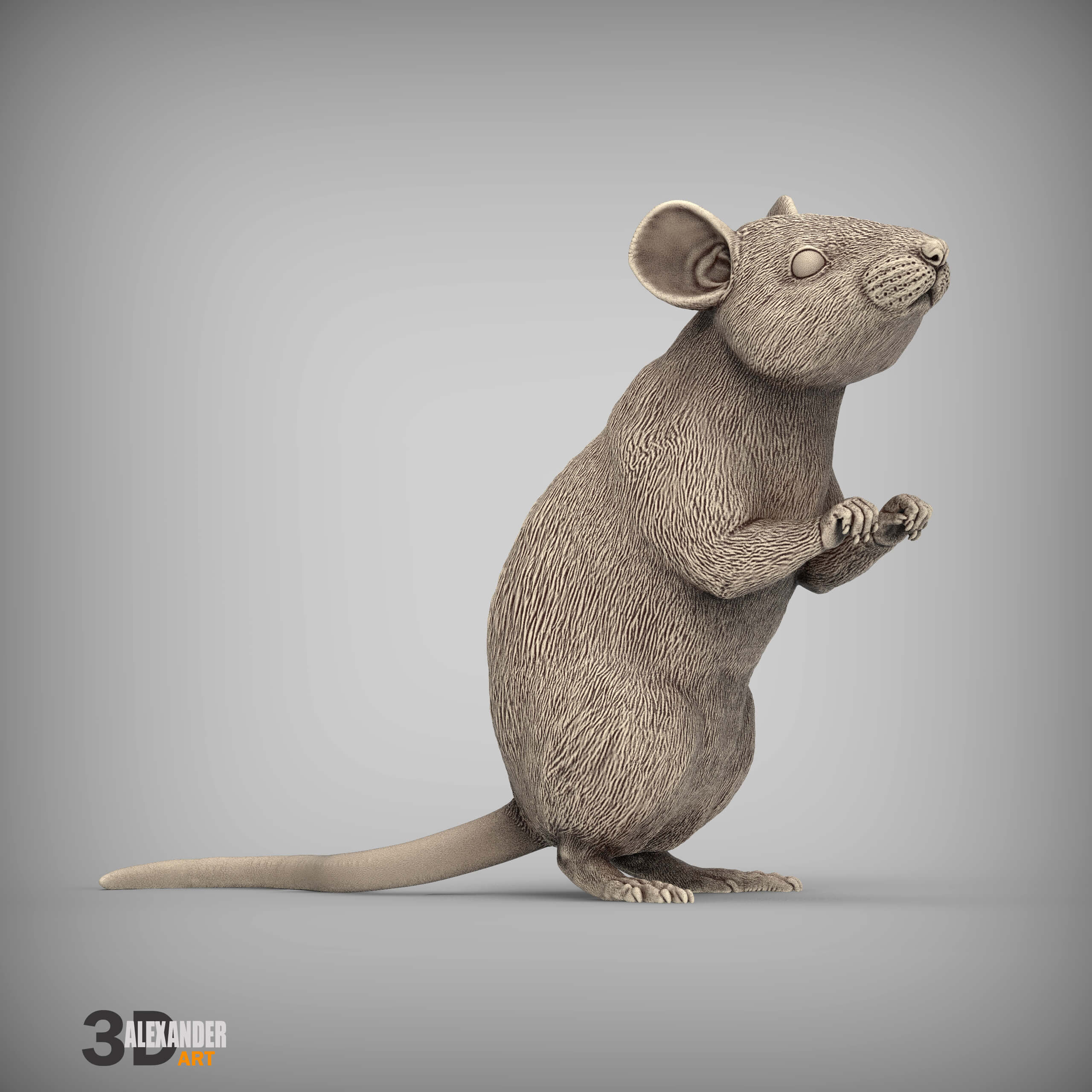 Mouse on Hind Legs - 3D Model by Alexander3dart