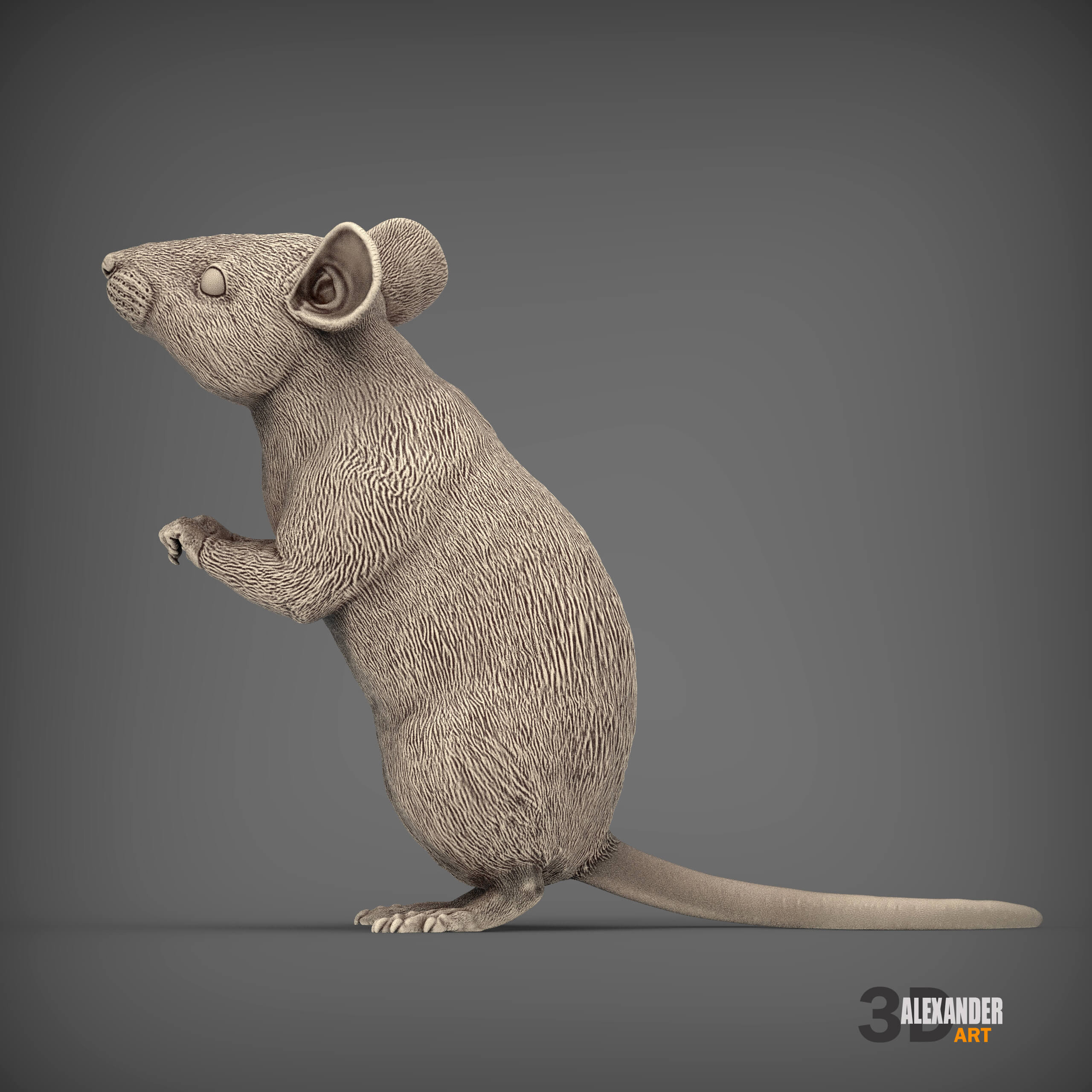 Mouse on Hind Legs - 3D Model by Alexander3dart