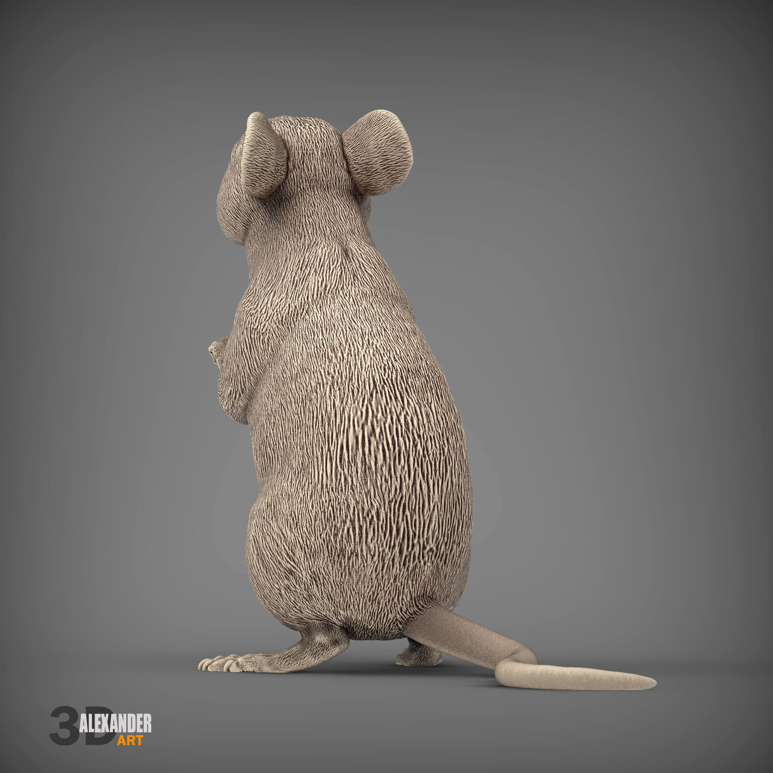 Mouse on Hind Legs - 3D Model by Alexander3dart