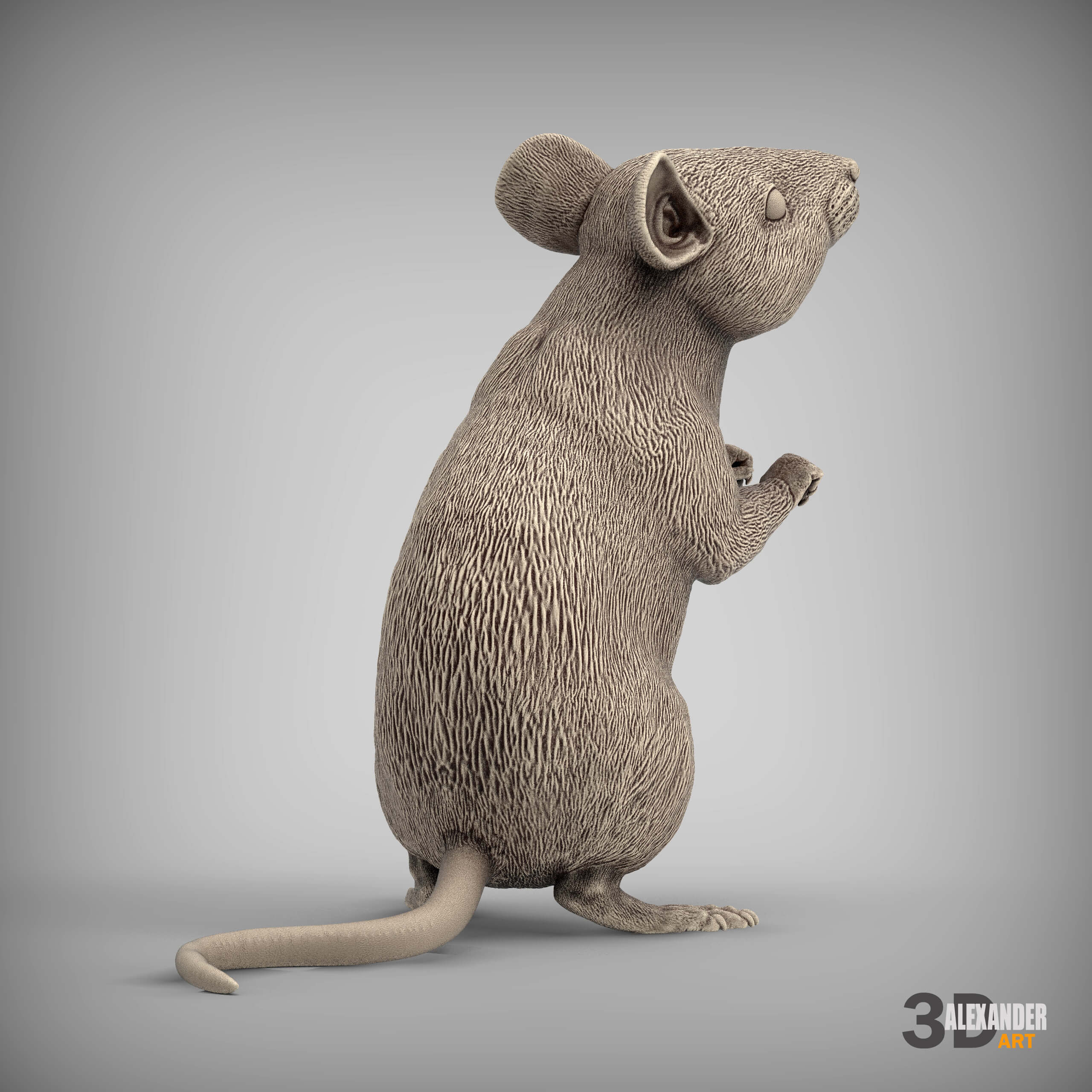 Mouse on Hind Legs - 3D Model by Alexander3dart