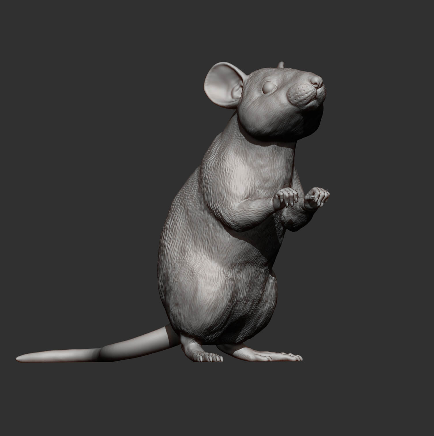 Mouse on Hind Legs - 3D Model by Alexander3dart