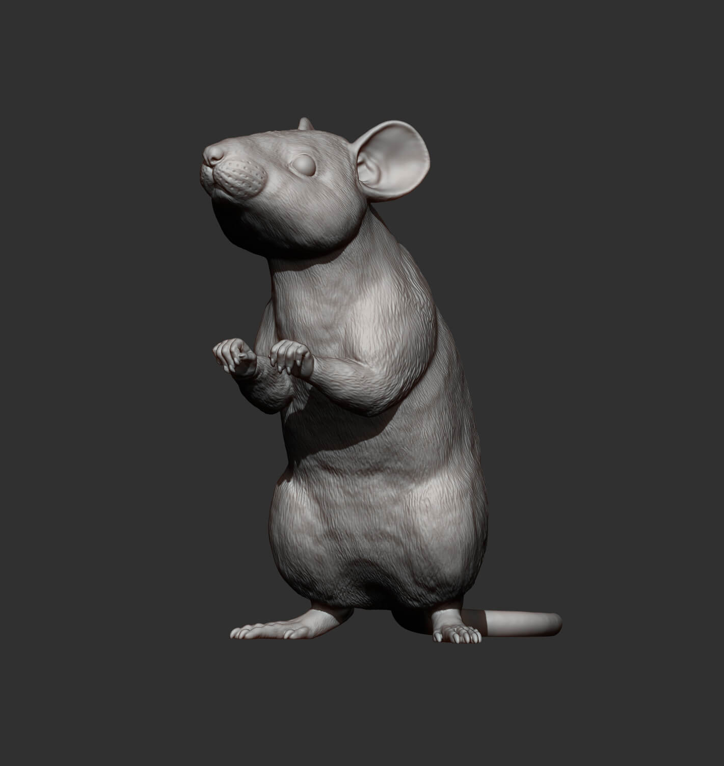 Mouse on Hind Legs - 3D Model by Alexander3dart