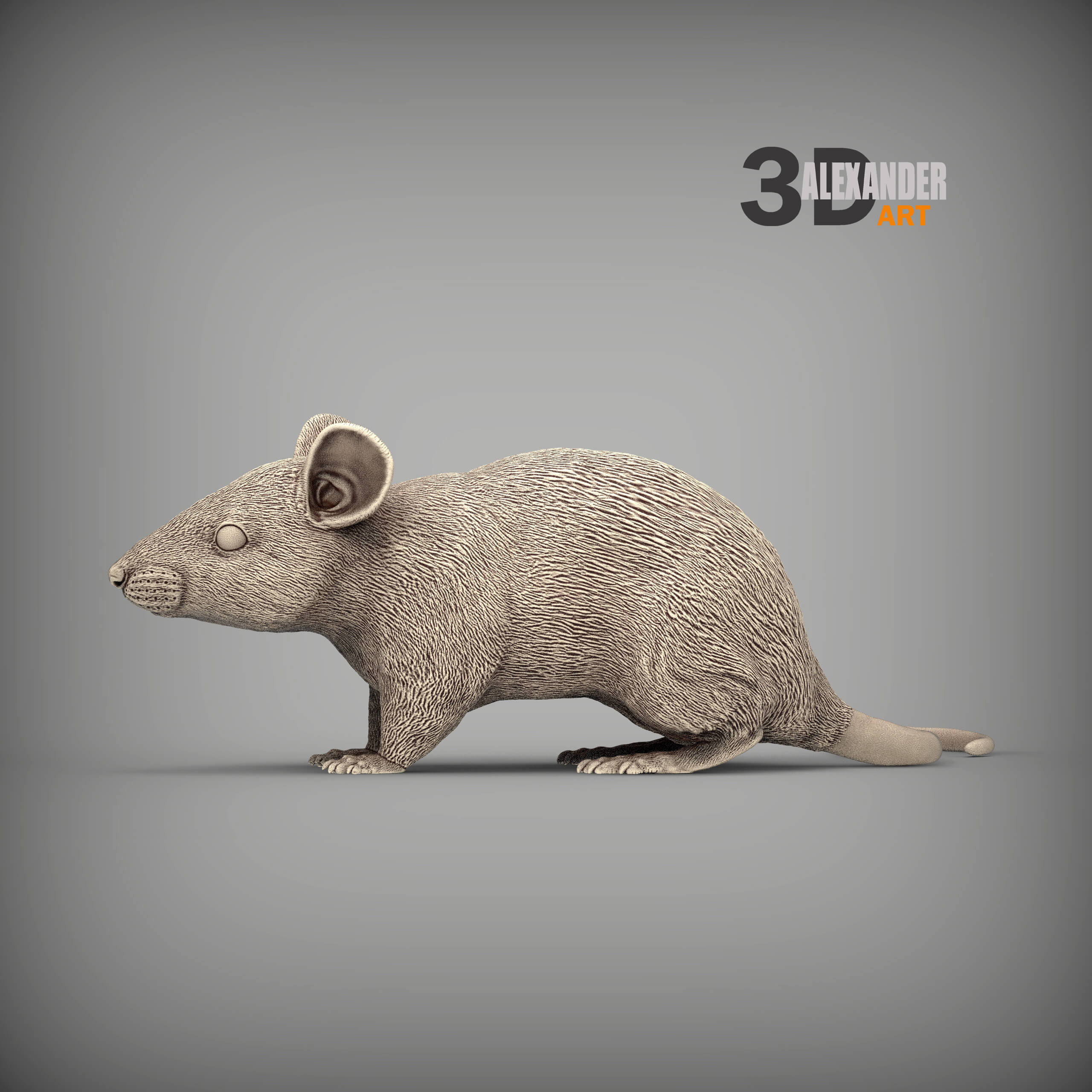 Mouse Sculpture - 3D Model by Alexander3dart