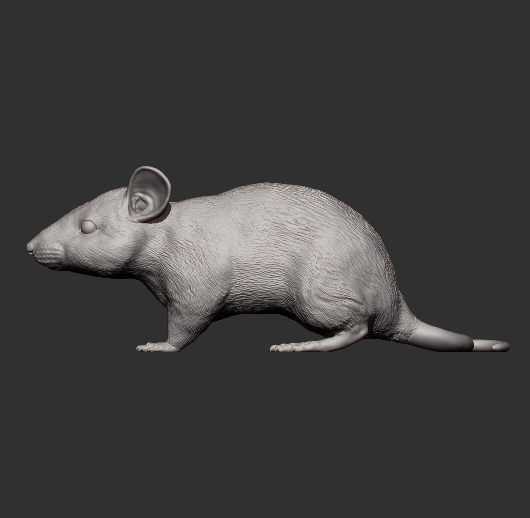 Mouse Sculpture - 3D Model by Alexander3dart
