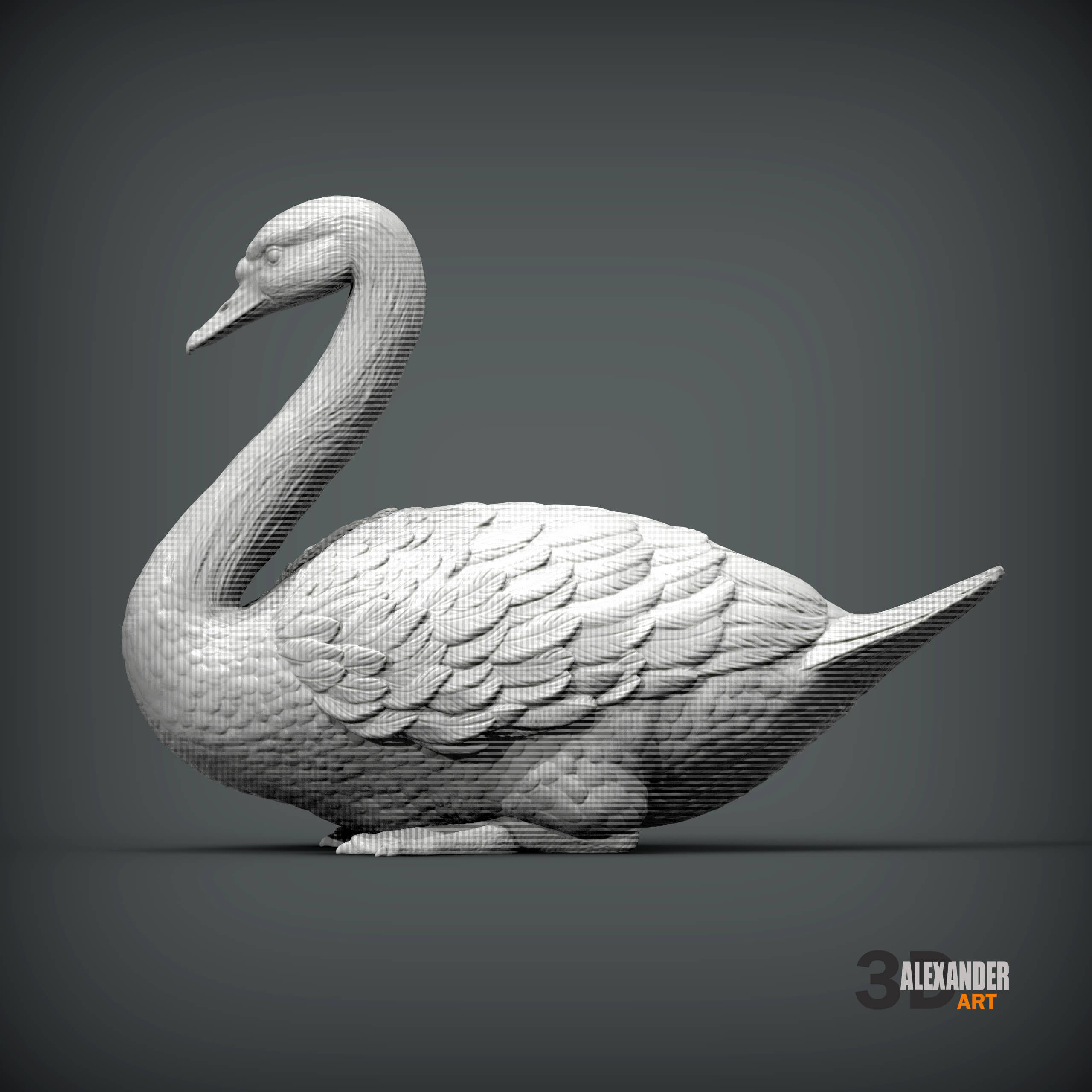 Mute Swan is Lying Down - 3D Model by Alexander3dart