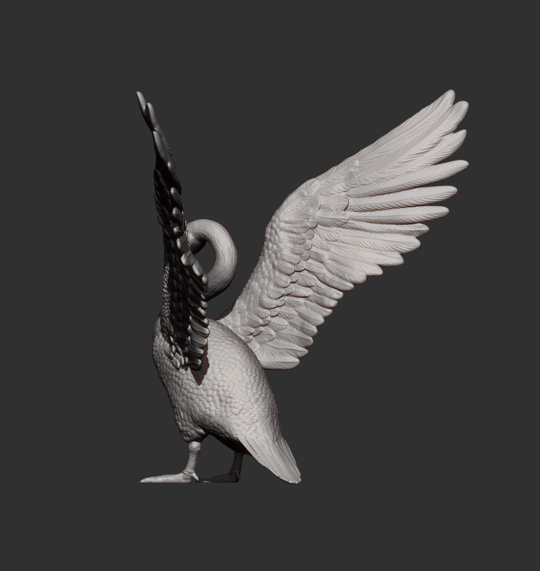 Mute Swan with Wings Raised - 3D Model by Alexander3dart