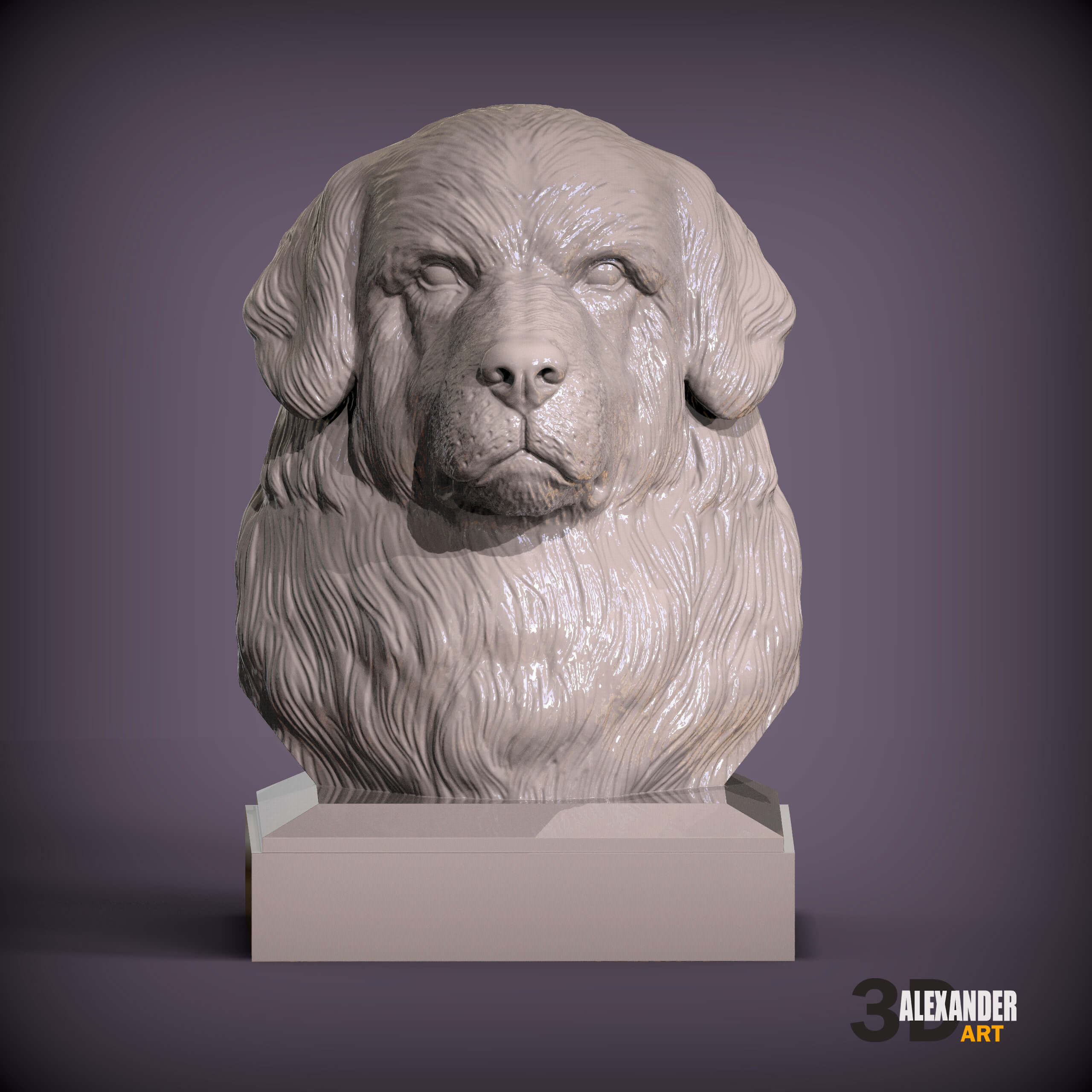 Newfoundland Bust - 3D Model by Alexander3dart