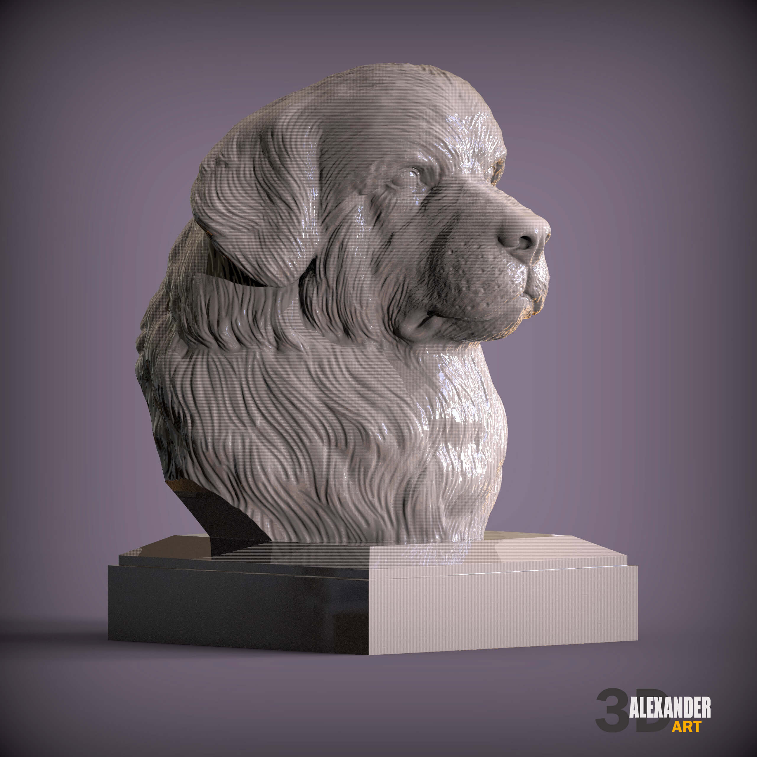 Newfoundland Bust - 3D Model by Alexander3dart