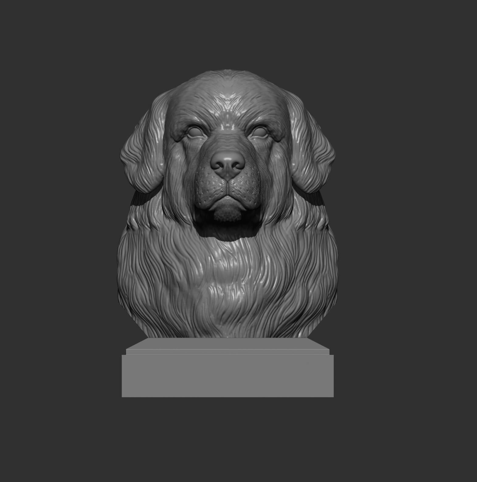 Newfoundland Bust - 3D Model by Alexander3dart