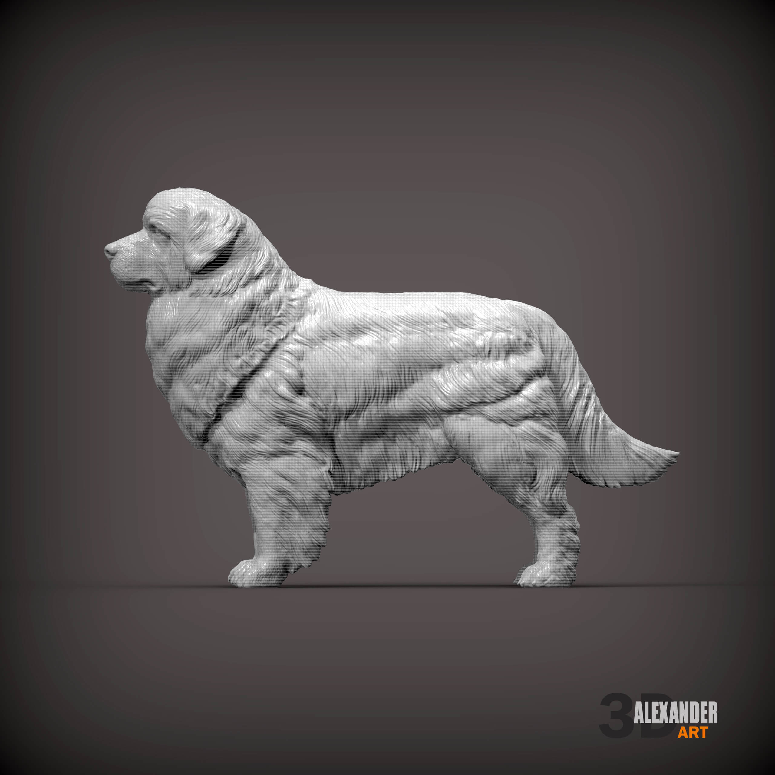 Newfoundlands - 3D Model by Alexander3dart