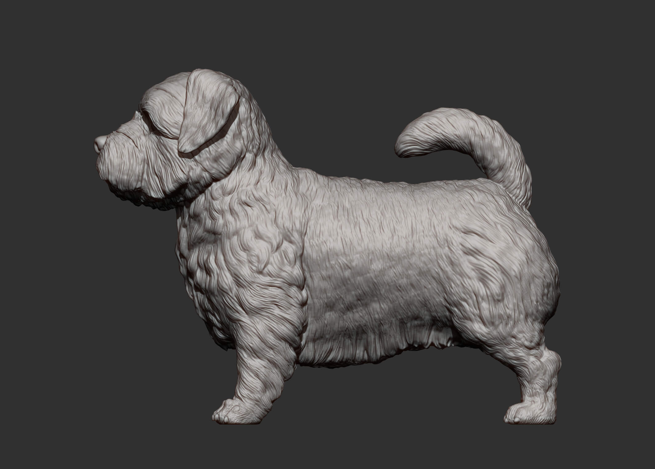 Norfolk Terrier 3D Print Model by Alexander3dart
