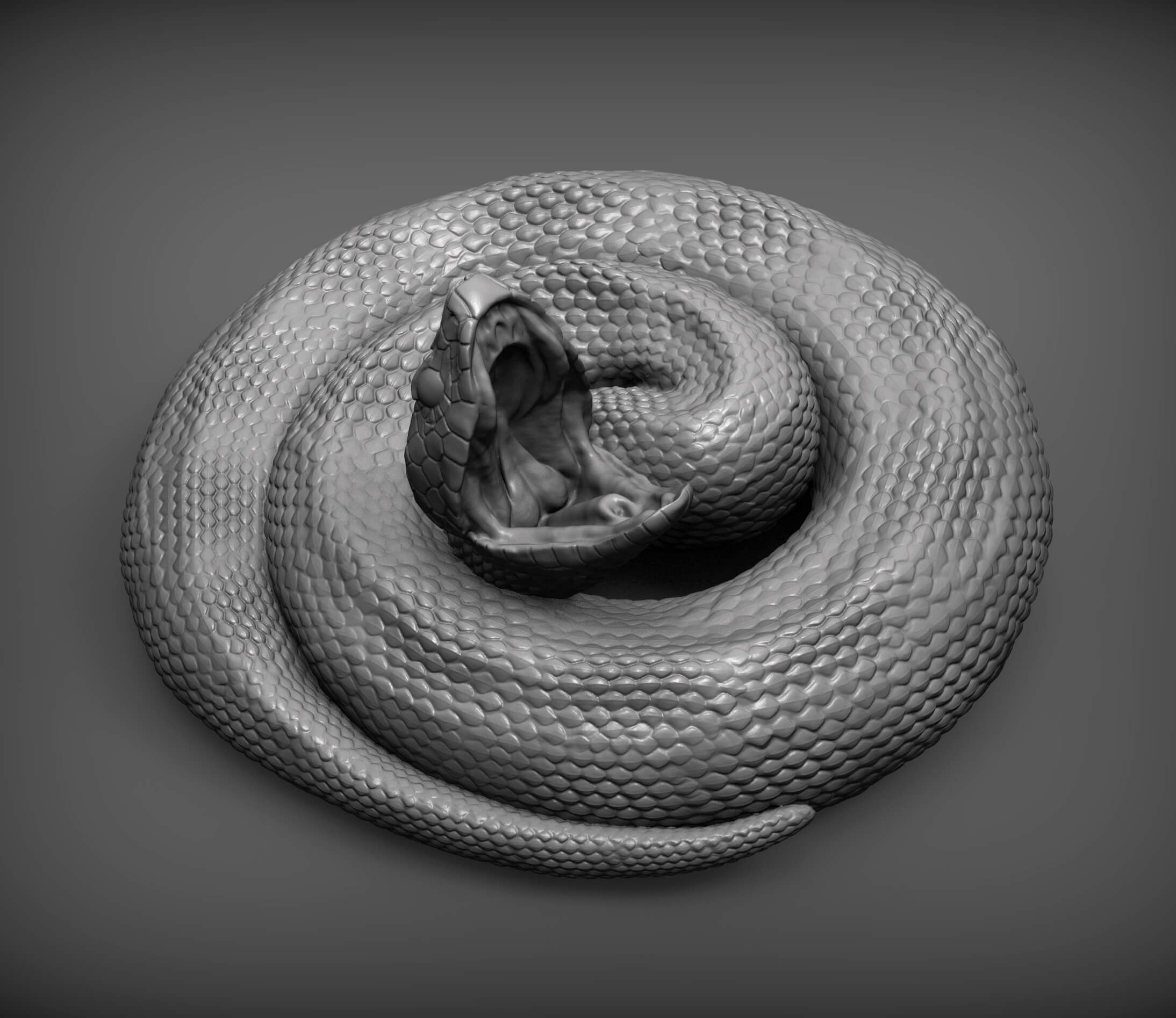 Northern Cottonmouth Snake 3D Print Model by Alexander3dart