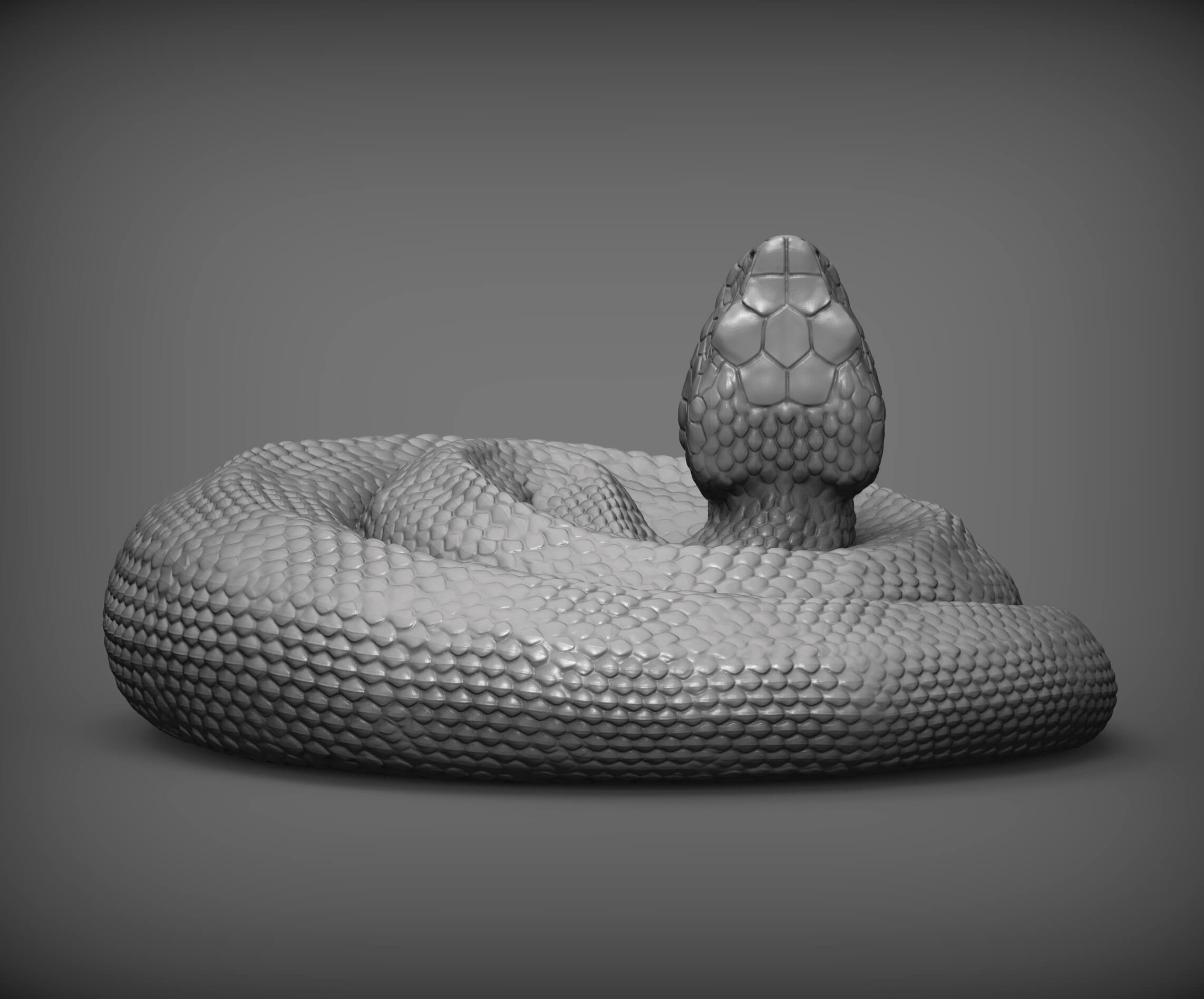 Northern Cottonmouth Snake - 3D Model by Alexander3dart