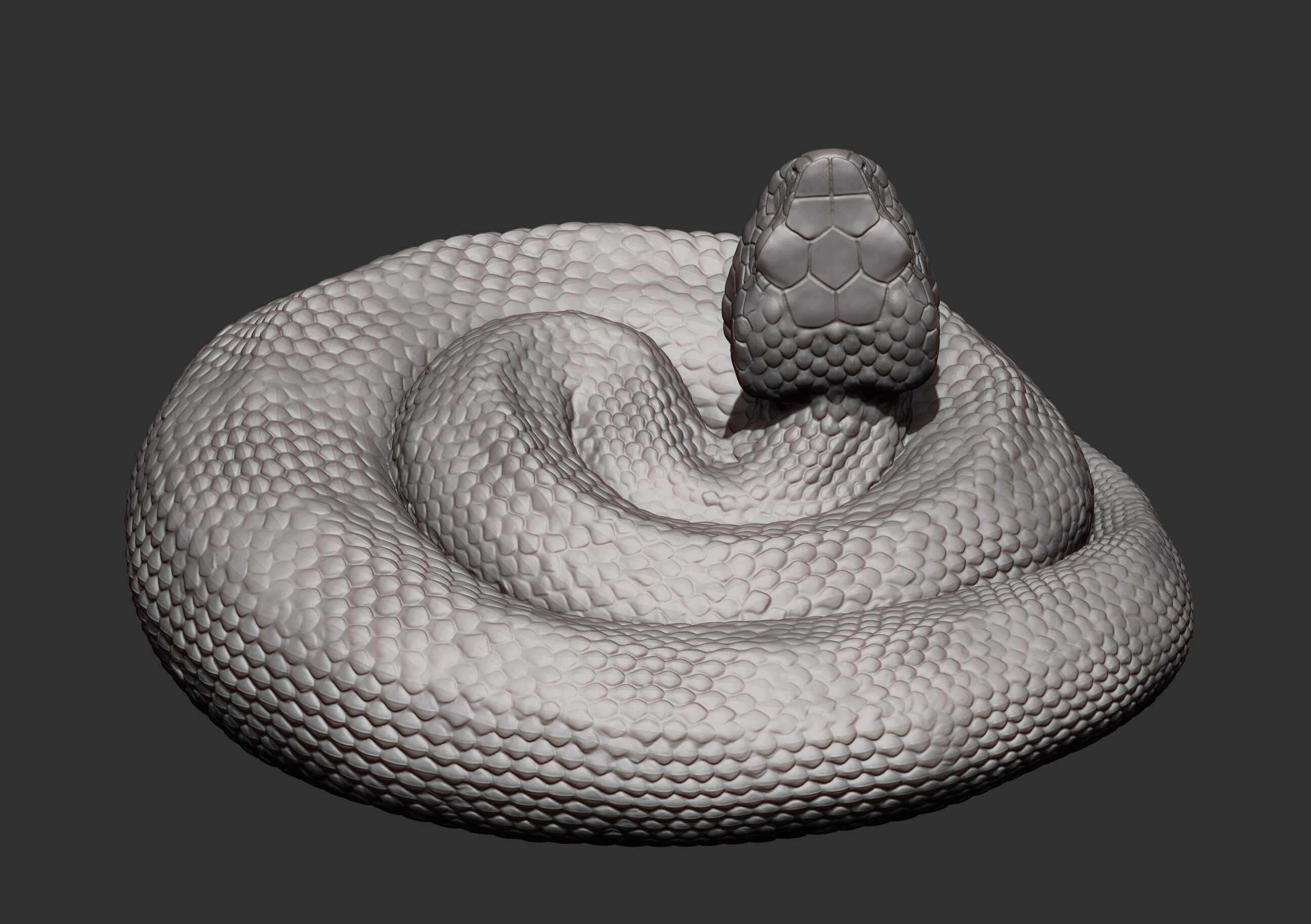 Northern Cottonmouth Snake - 3D Model by Alexander3dart