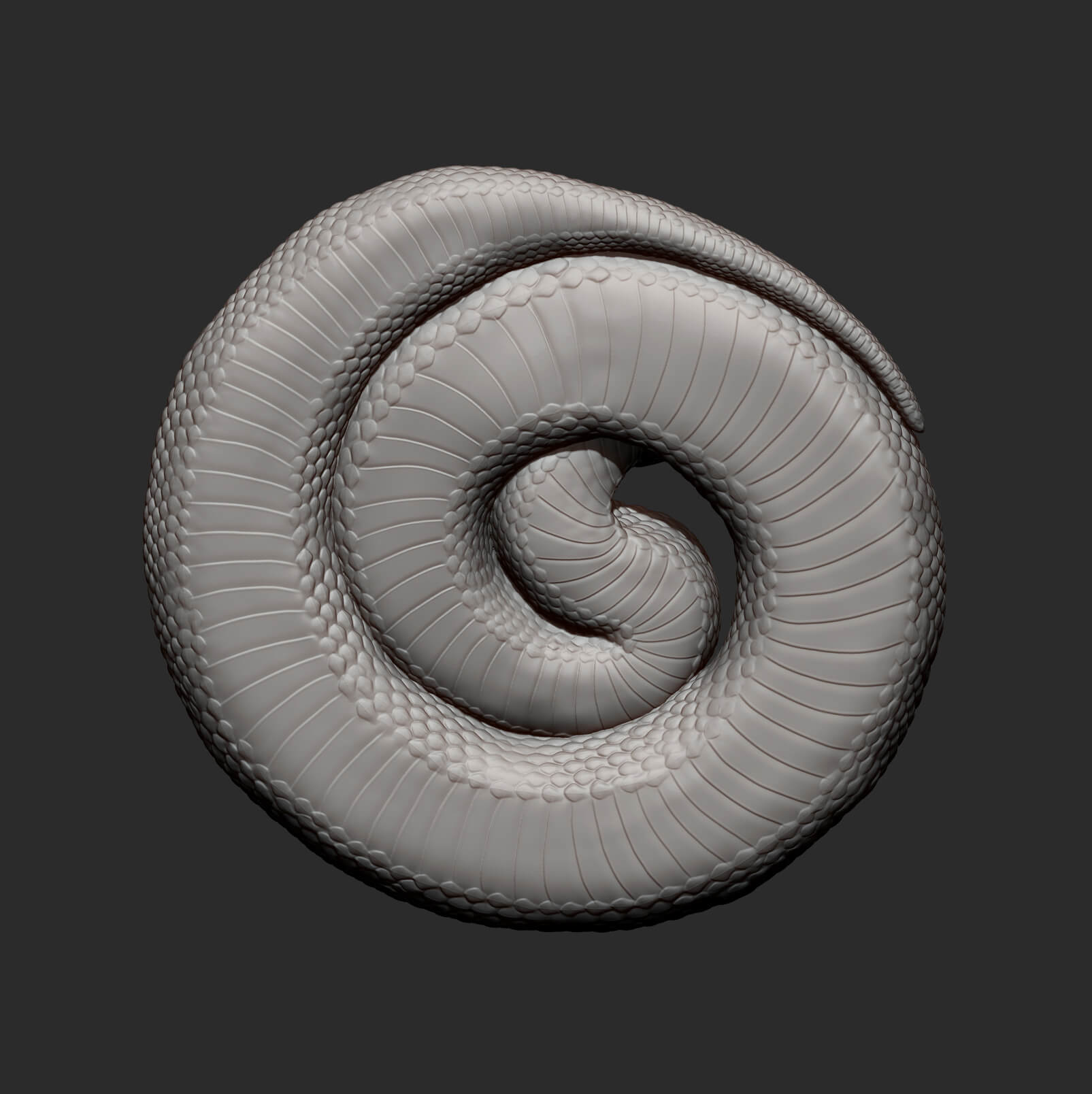 Northern Cottonmouth Snake - 3D Model by Alexander3dart
