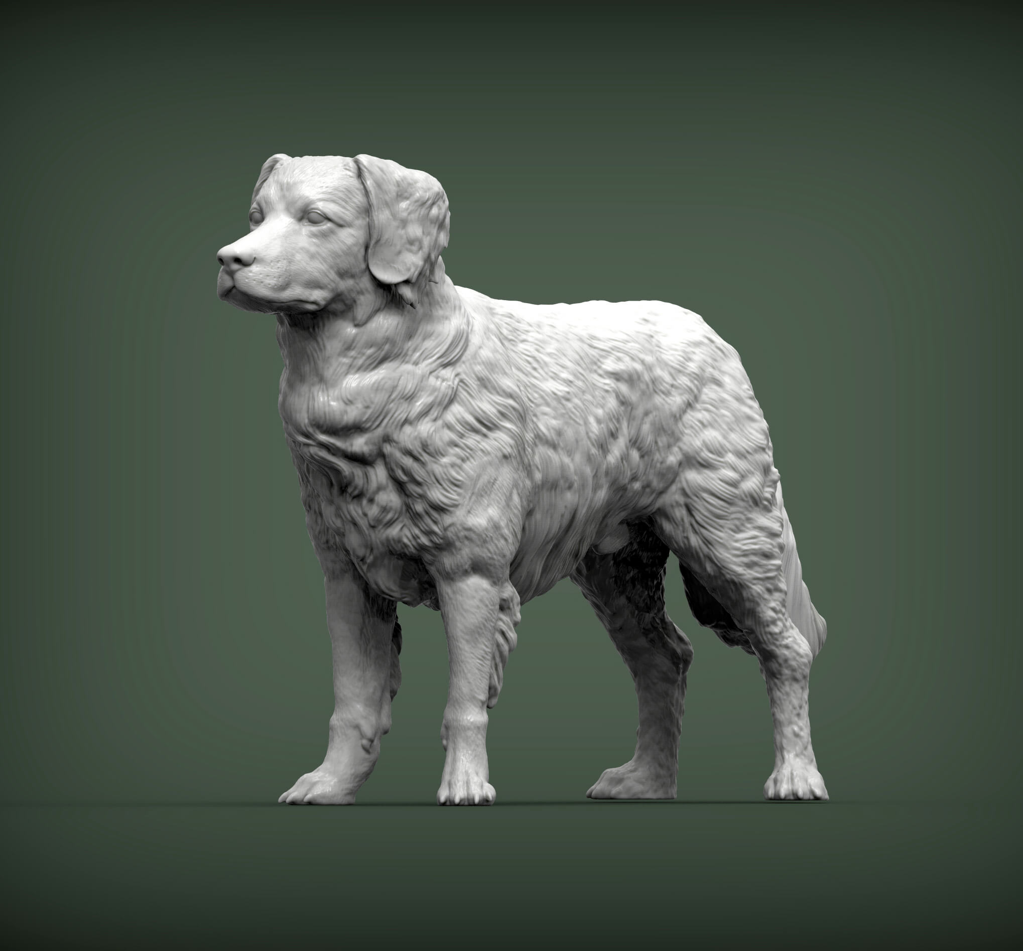 Nova Scotia Duck Tolling Retriever - 3D Model by Alexander3dart