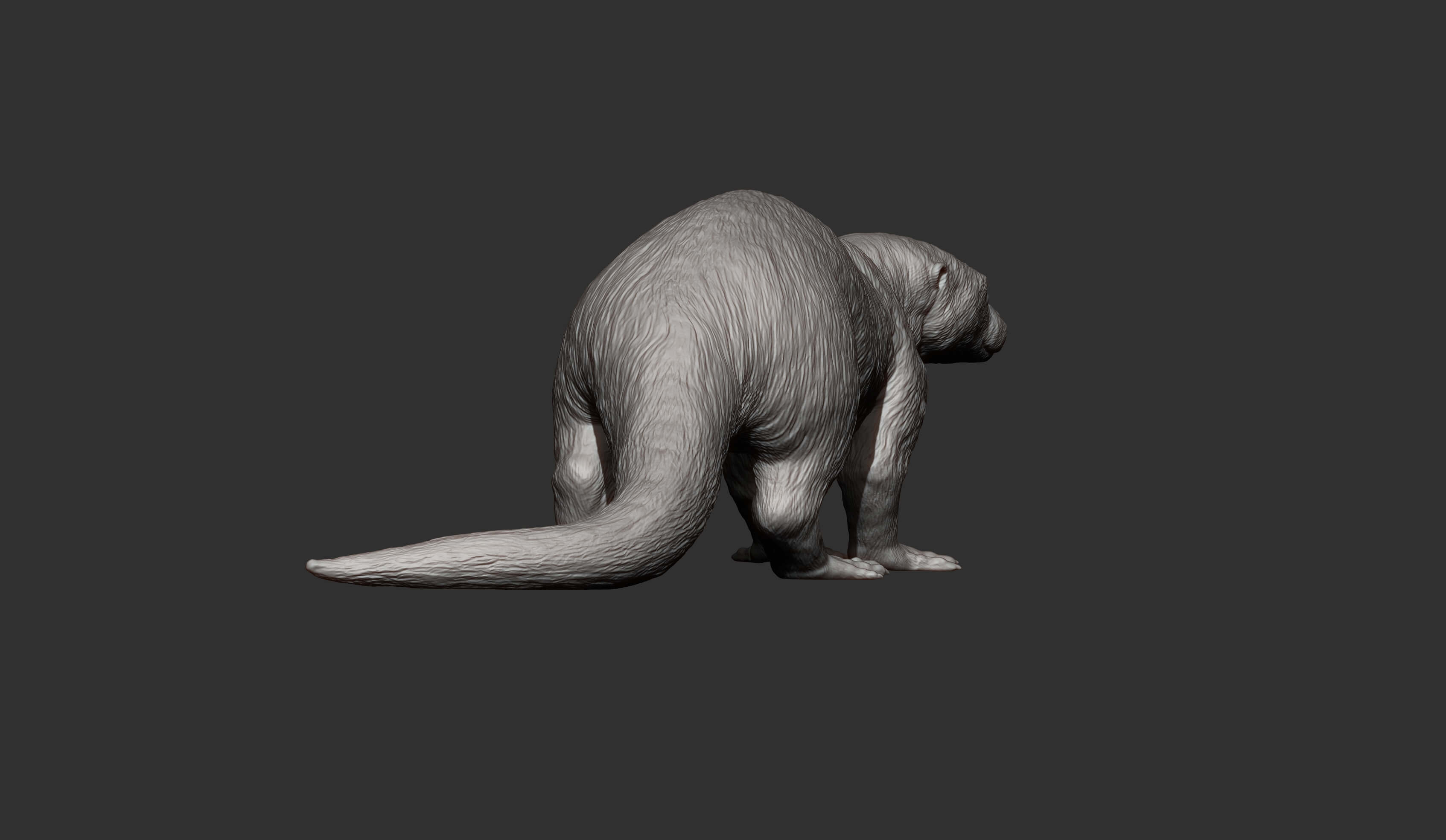 Otter 3D Print Model by Alexander3dart