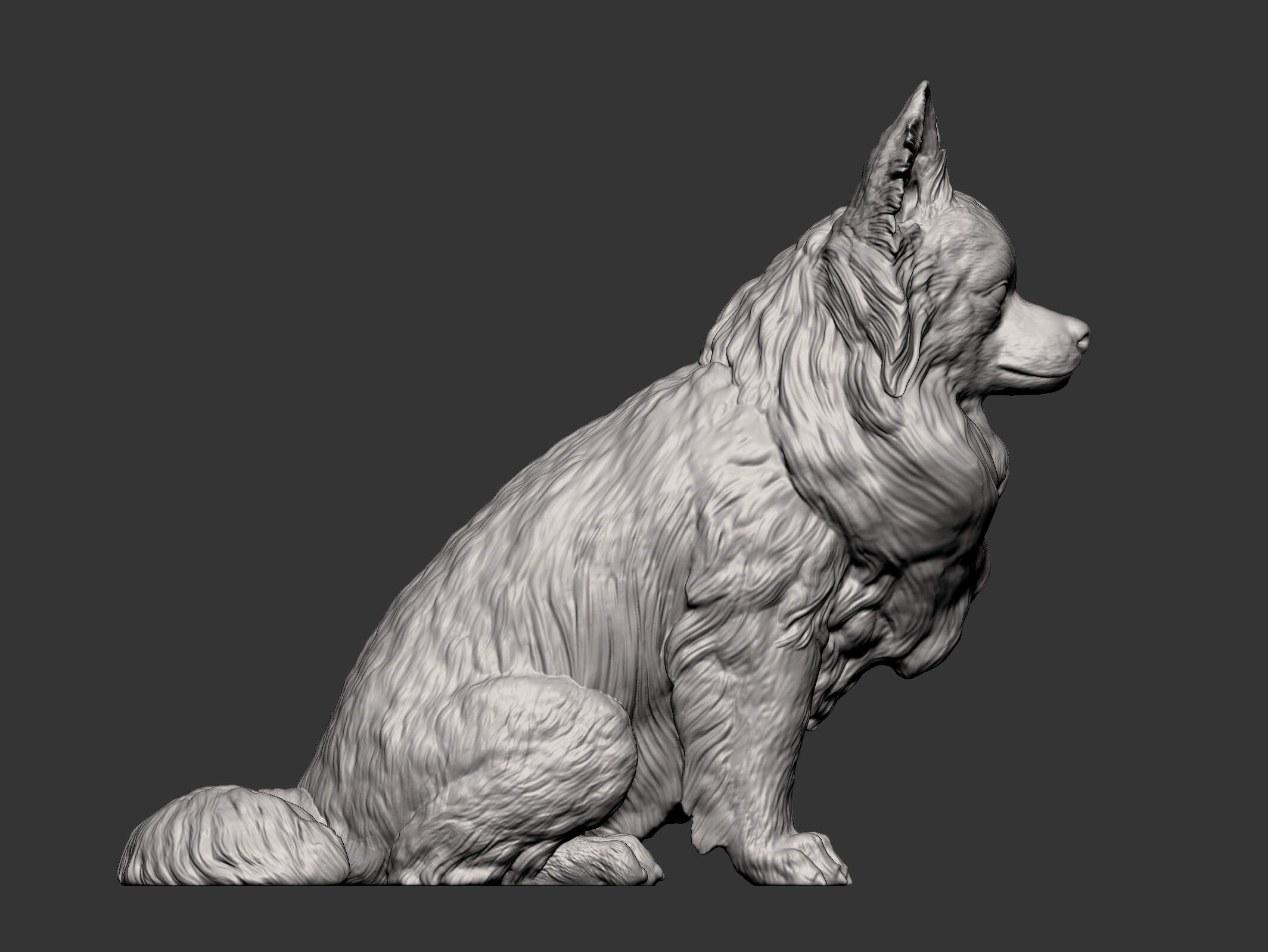 Papillon 3D Print Model by Alexander3dart