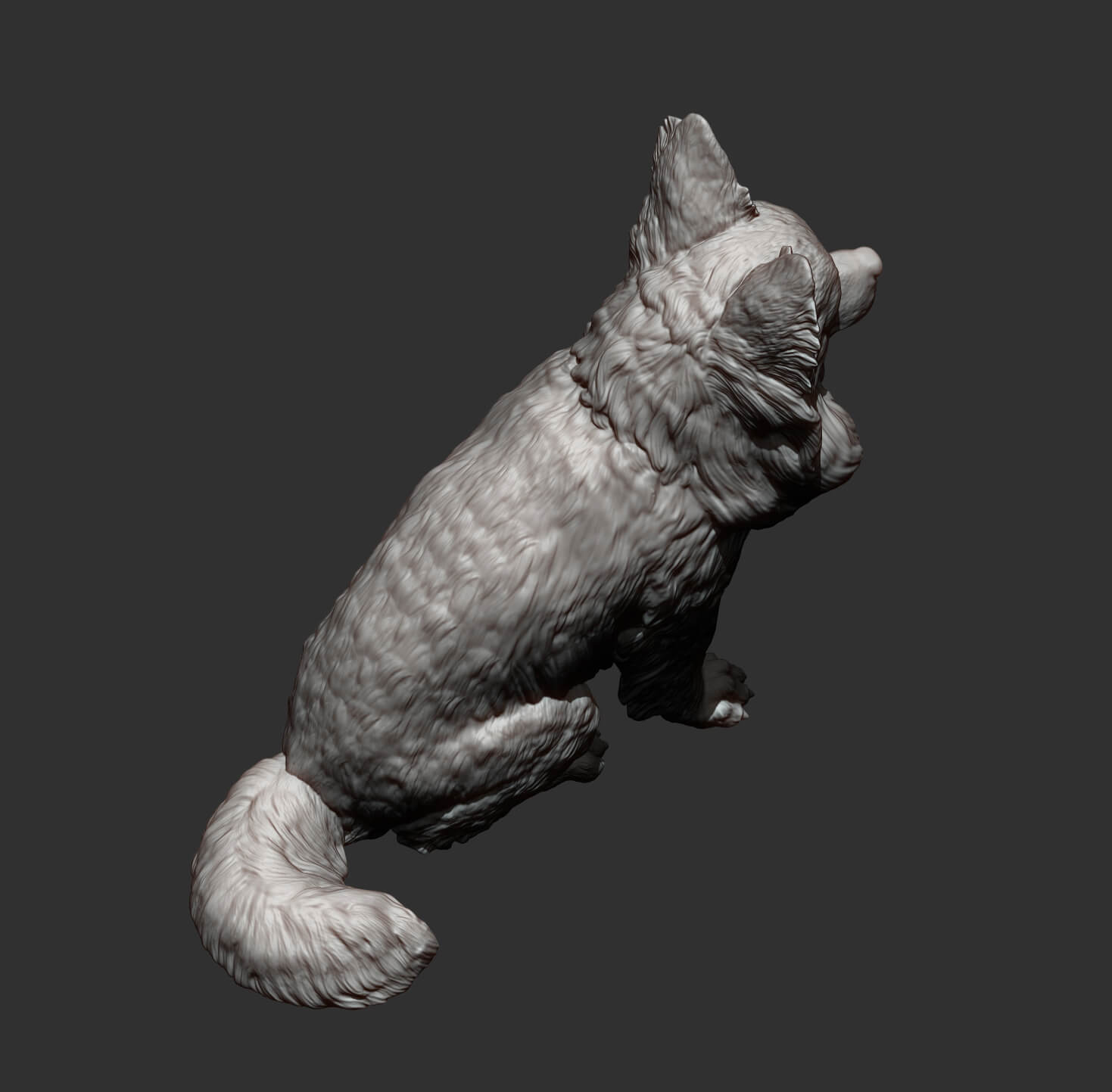 Papillon 3D Print Model by Alexander3dart