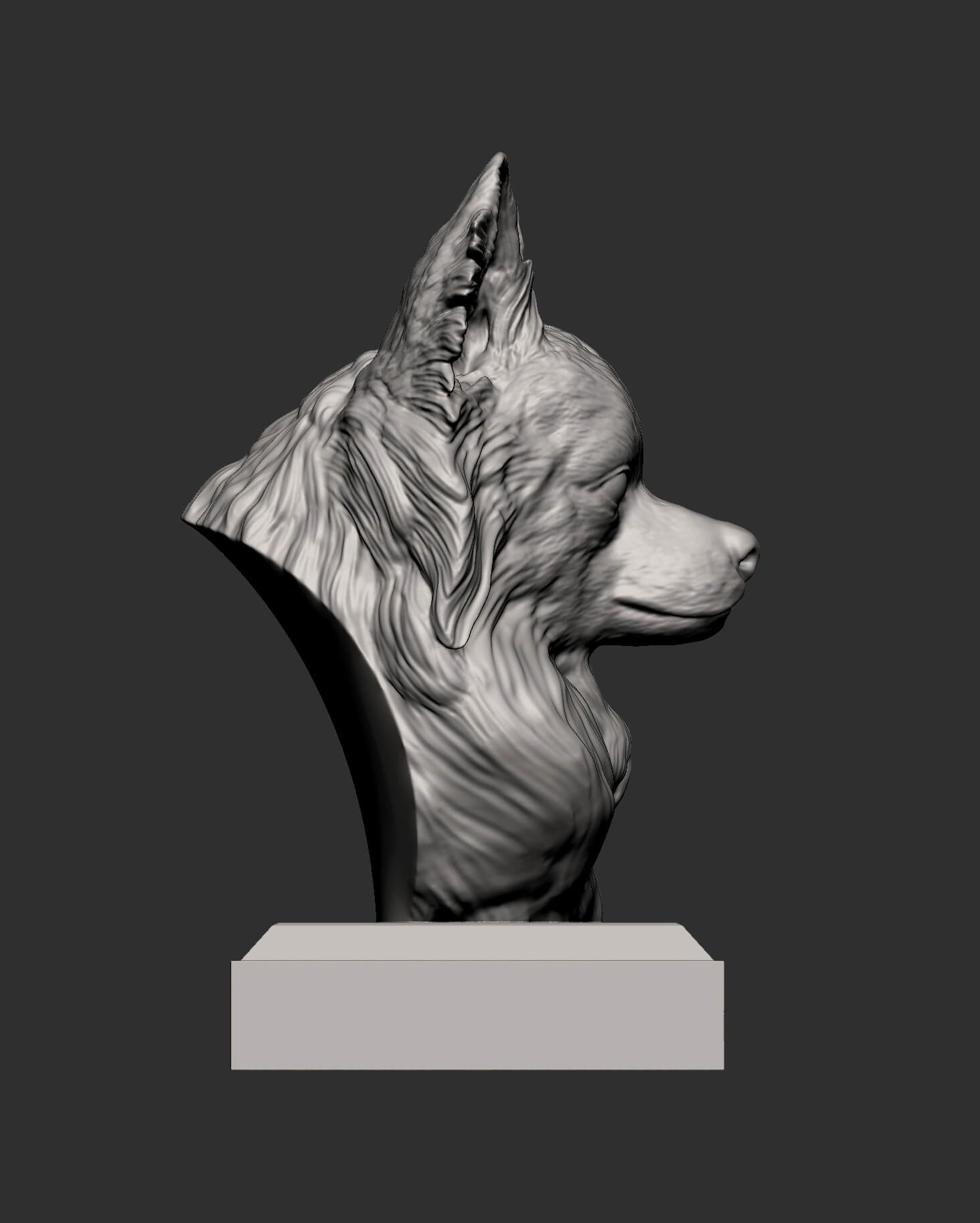 Papillon Bust 3D Print Model by Alexander3dart