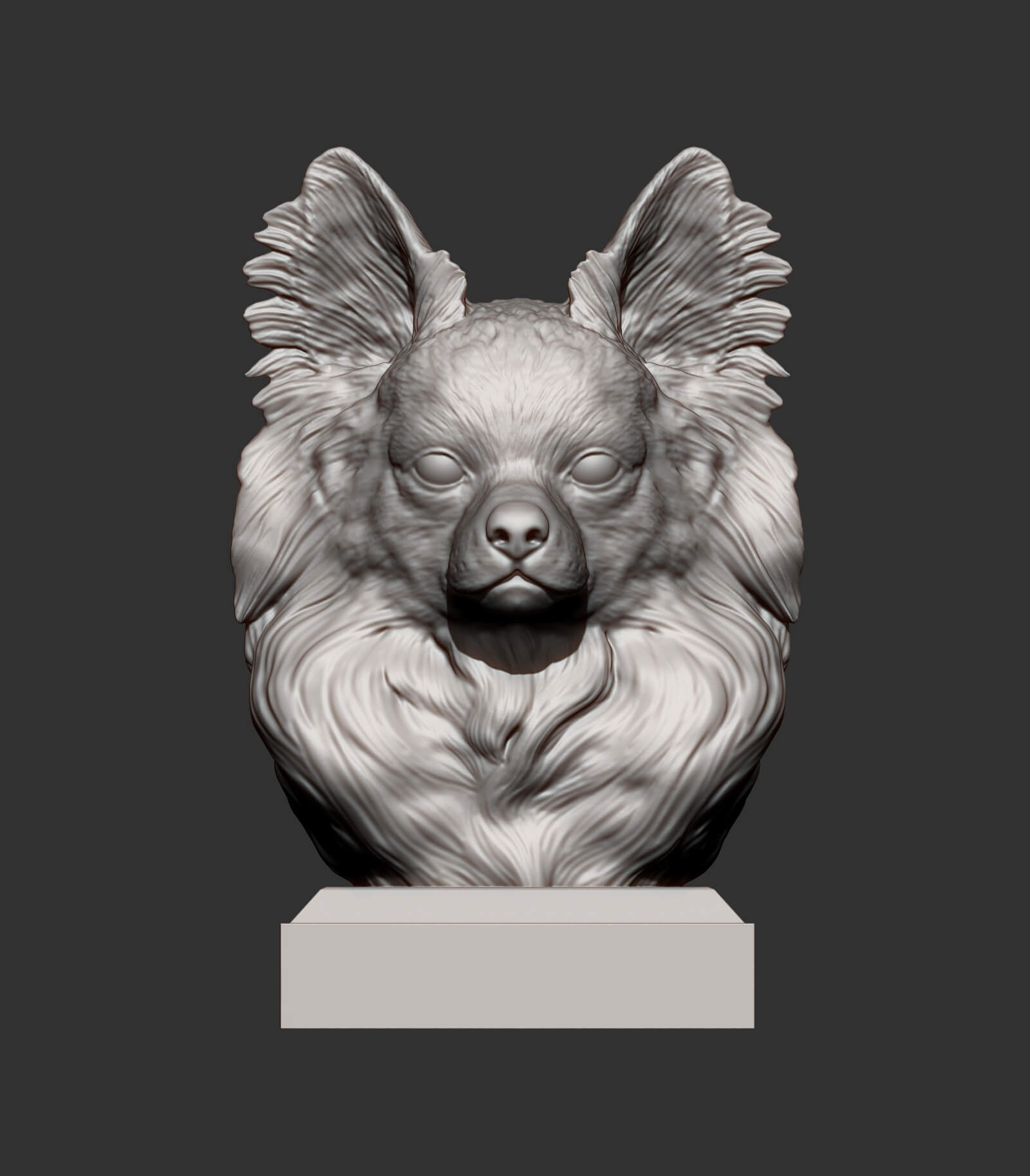 Papillon Bust 3D Print Model by Alexander3dart