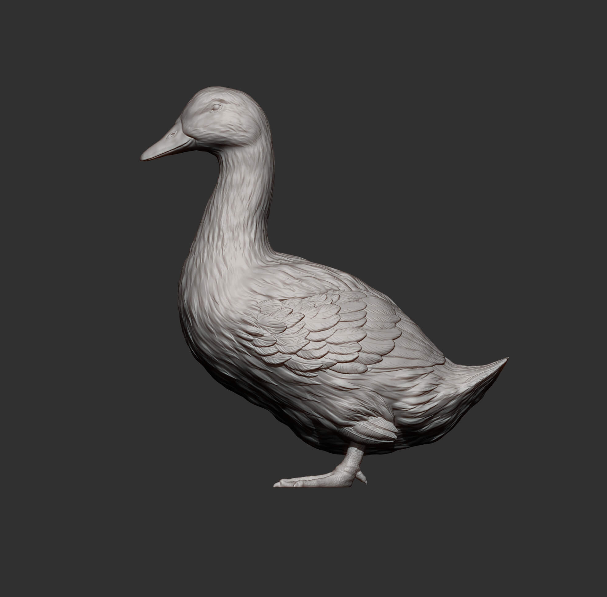 Pekin Duck Sculpture - 3D Model by Alexander3dart