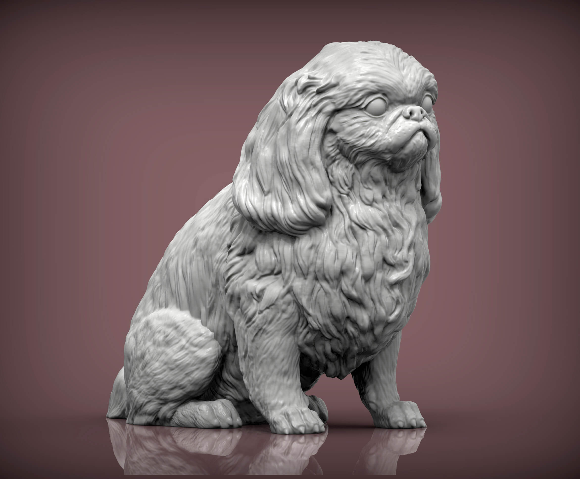 Pekingese Sitting - 3D Model by Alexander3dart