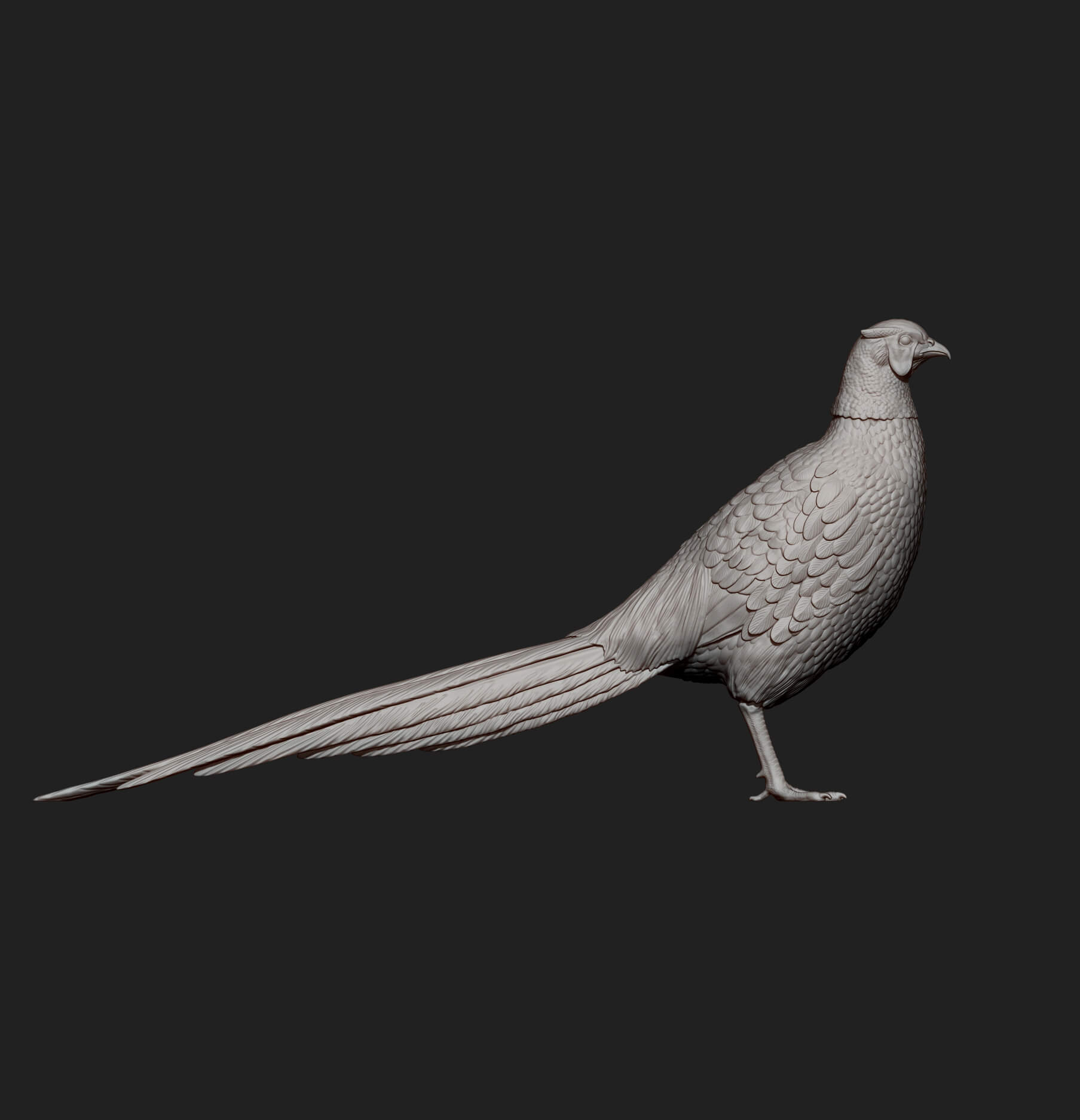 Pheasant Sculpture - 3D Model by Alexander3dart