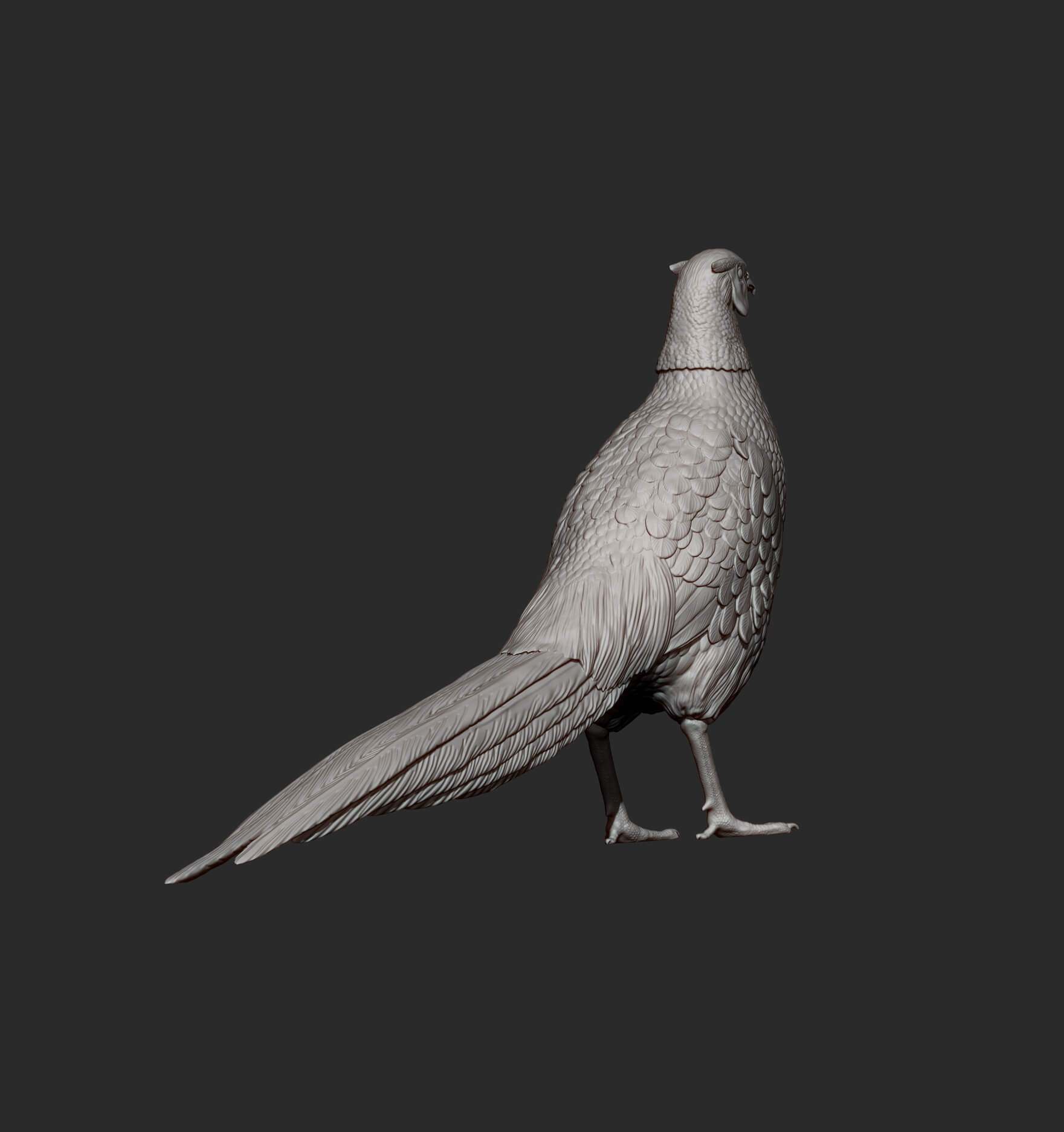 Pheasant Sculpture - 3D Model by Alexander3dart