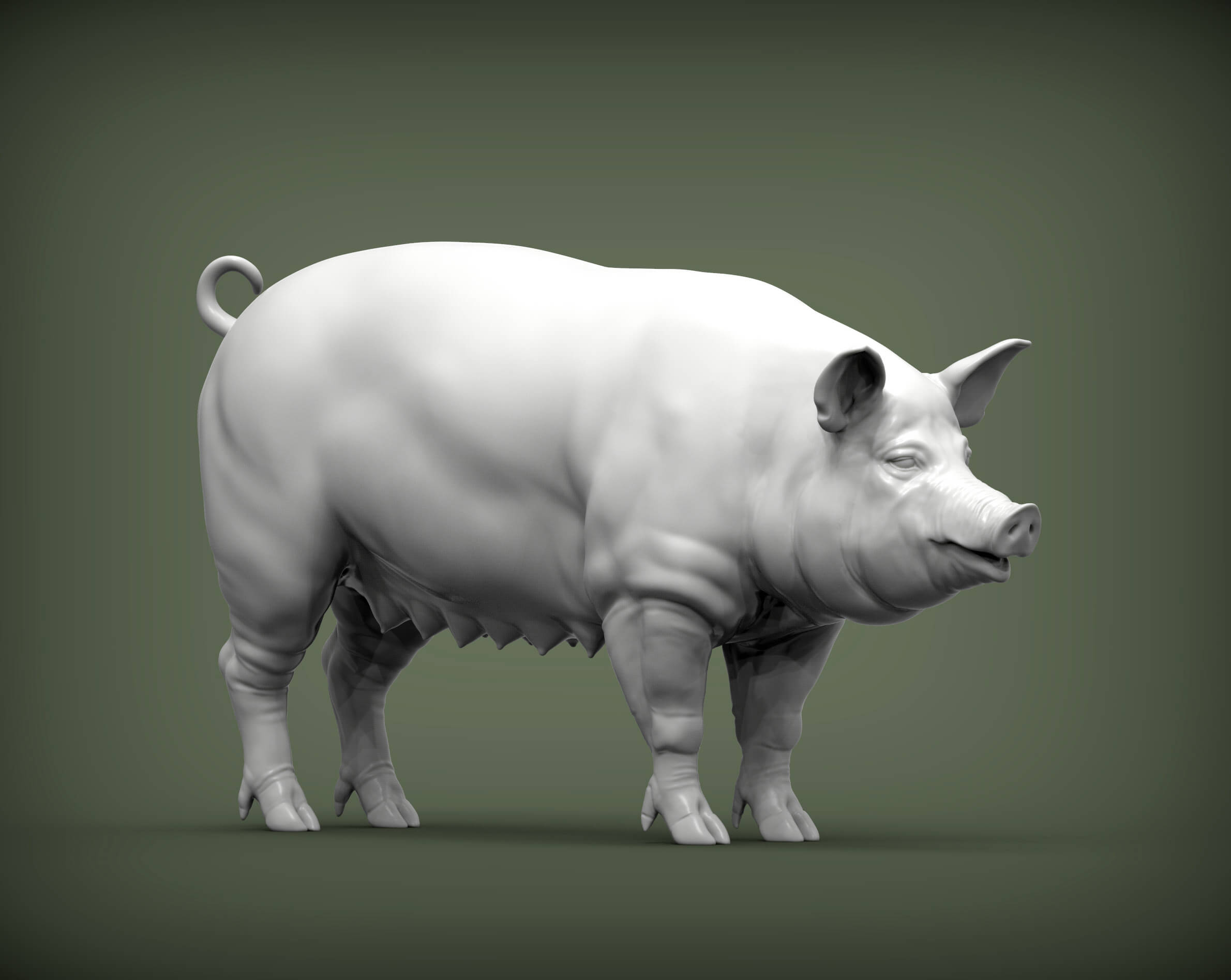 Pig 3D Print Model by Alexander3dart