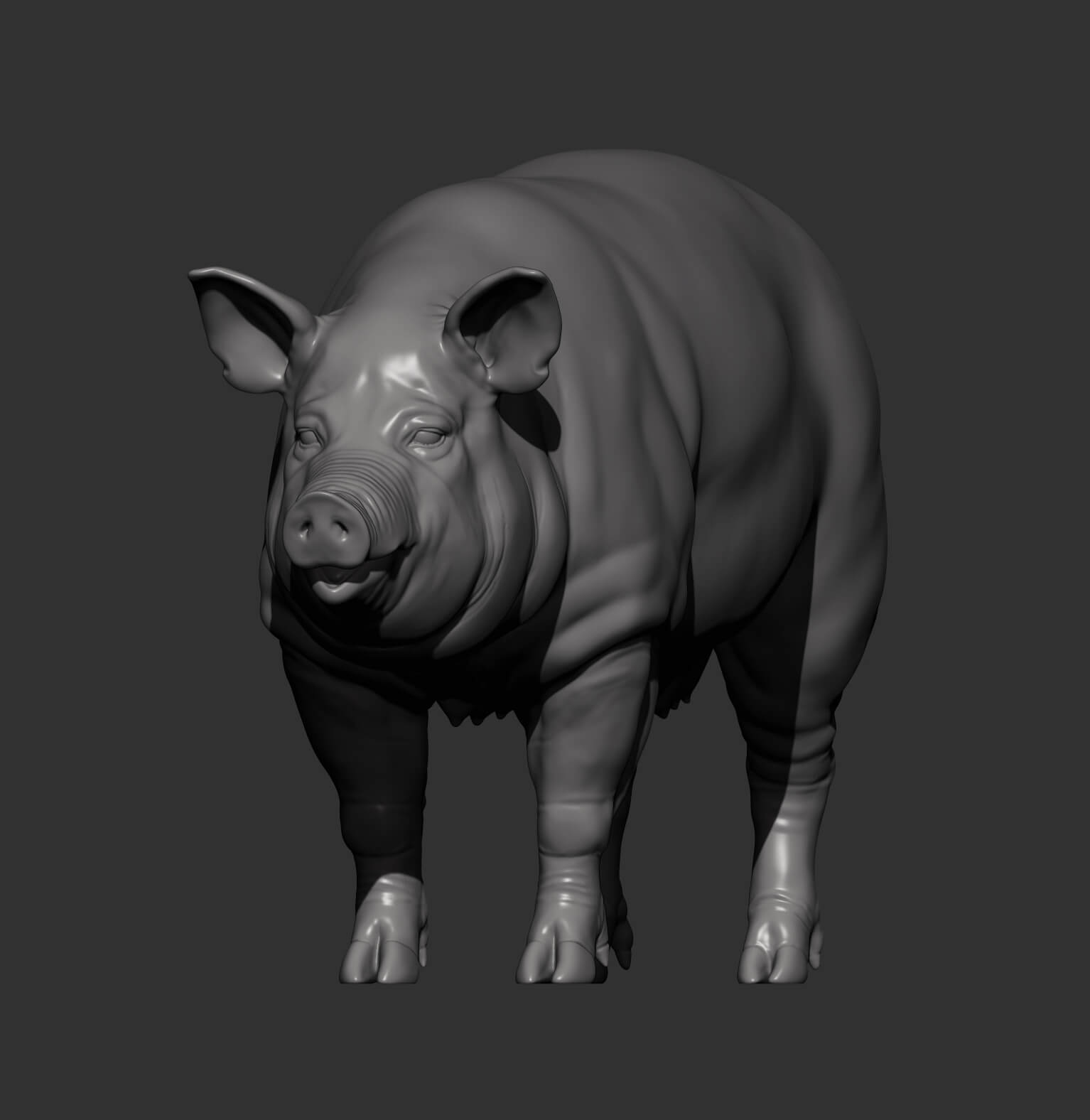 Pig 3D Print Model by Alexander3dart