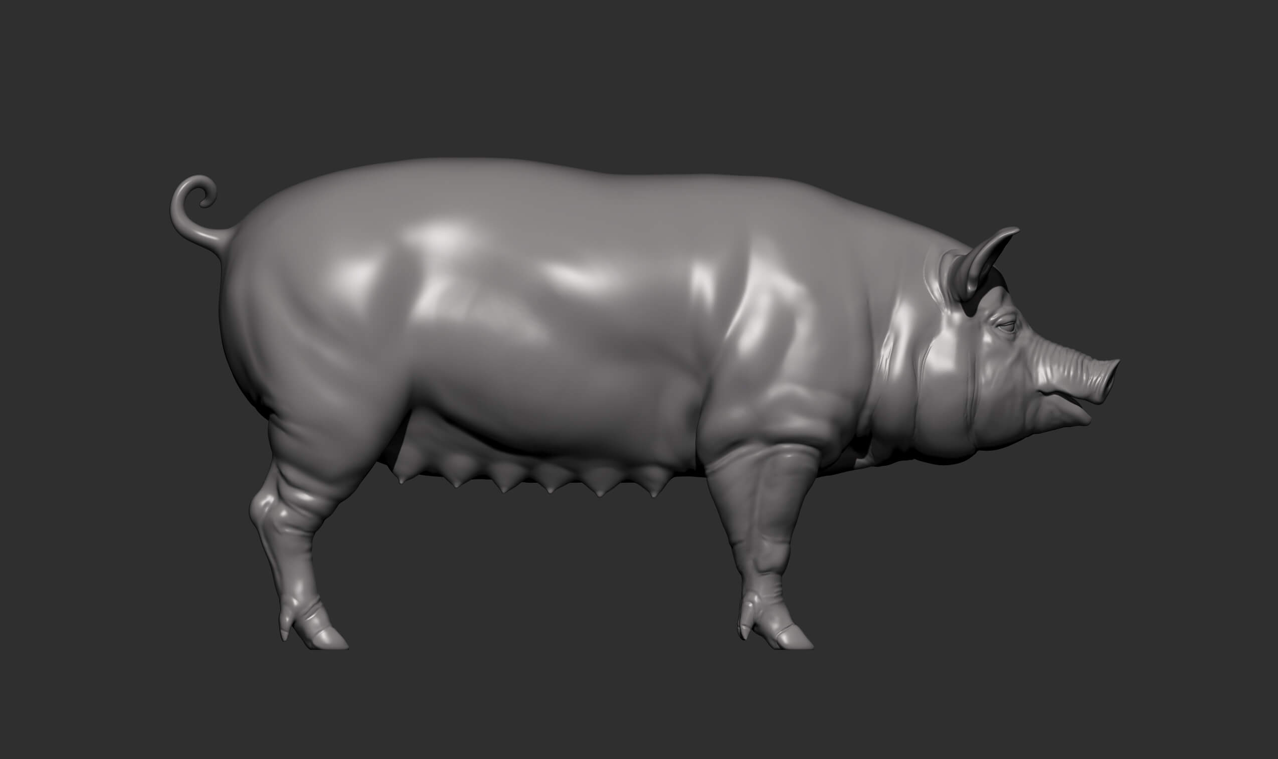 Pig 3D Print Model by Alexander3dart