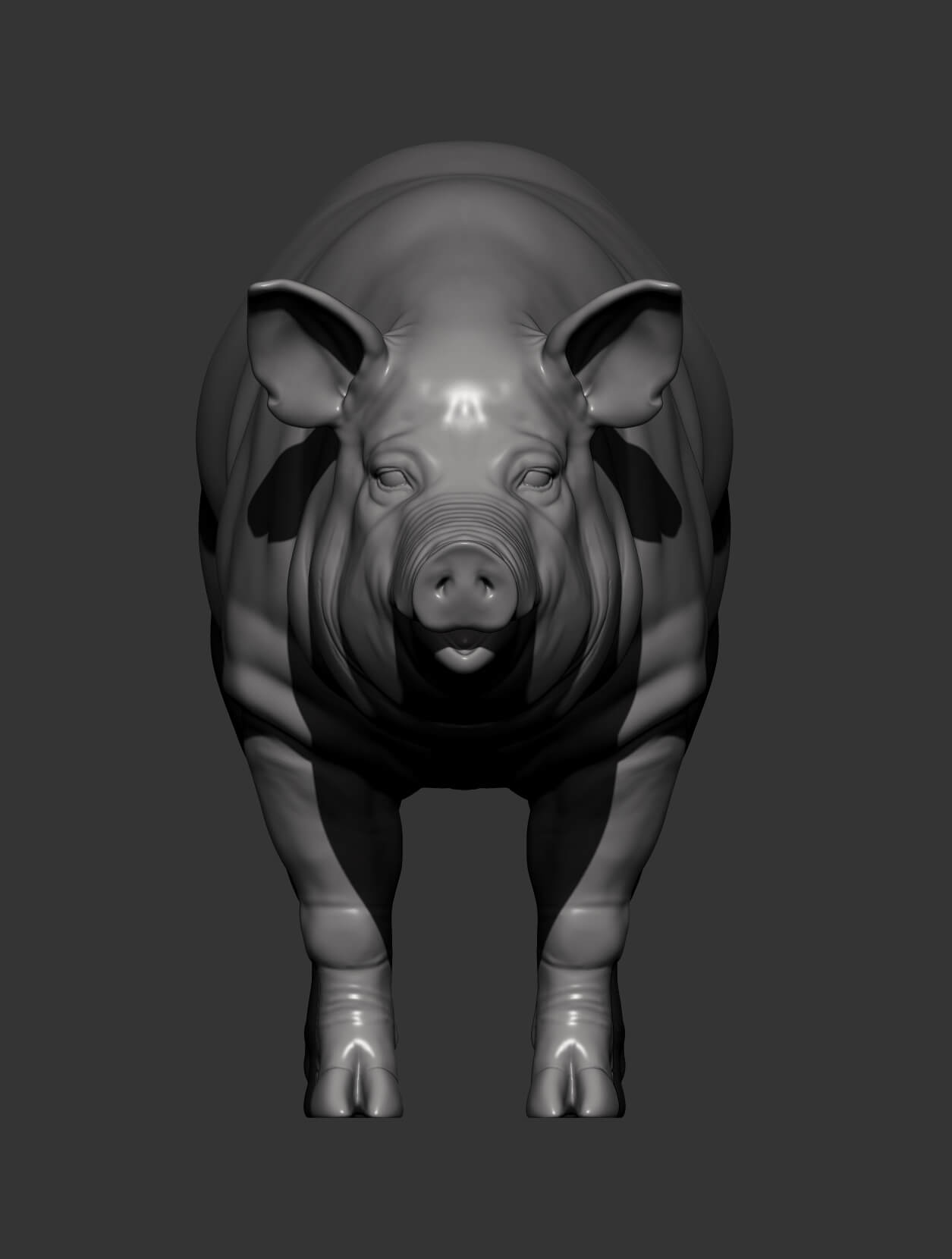 Pig 3D Print Model by Alexander3dart