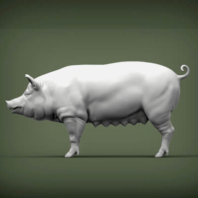 Pig 3D Print Model by Alexander3dart