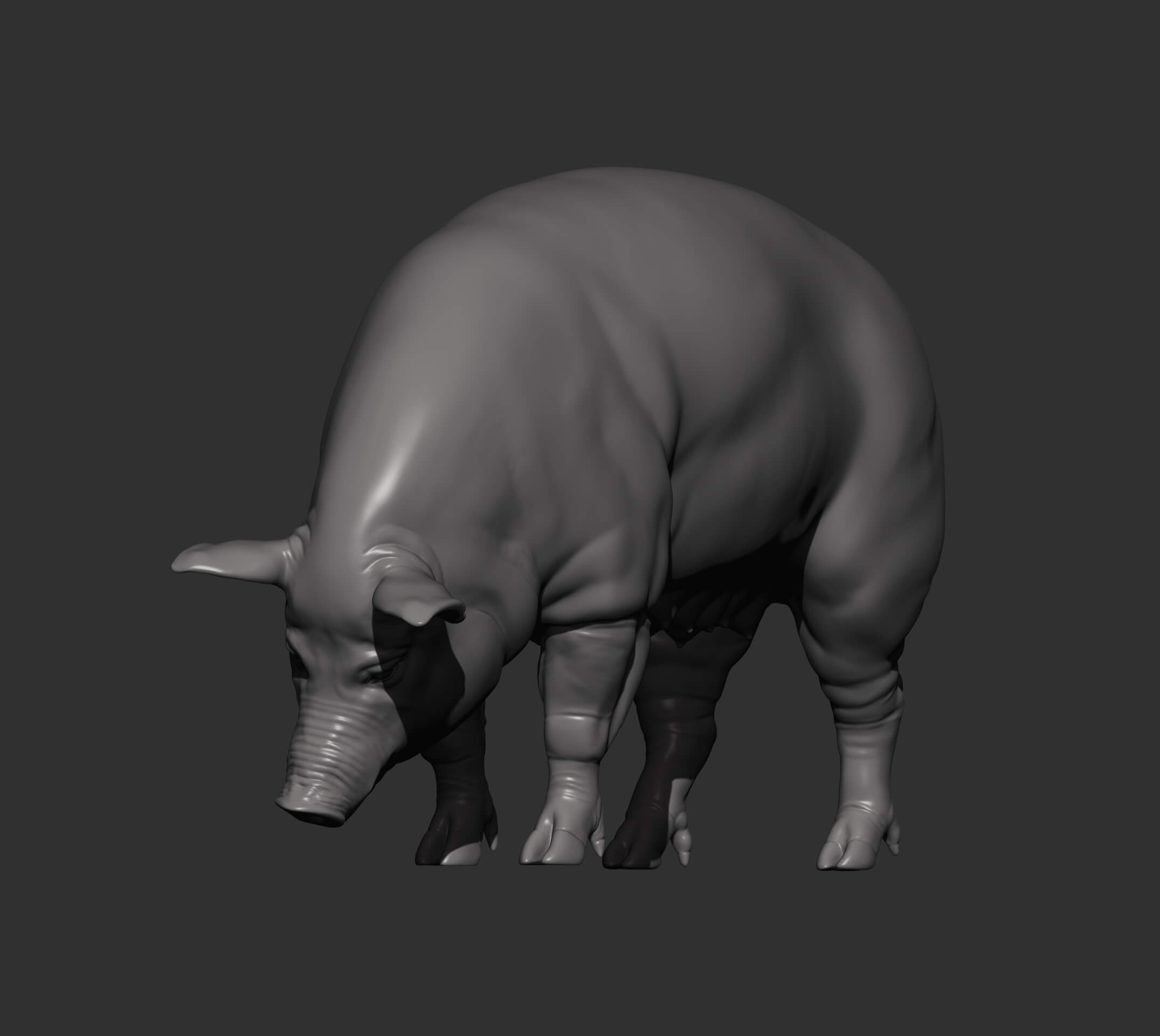 Pig Eats 3D Print Model by Alexander3dart