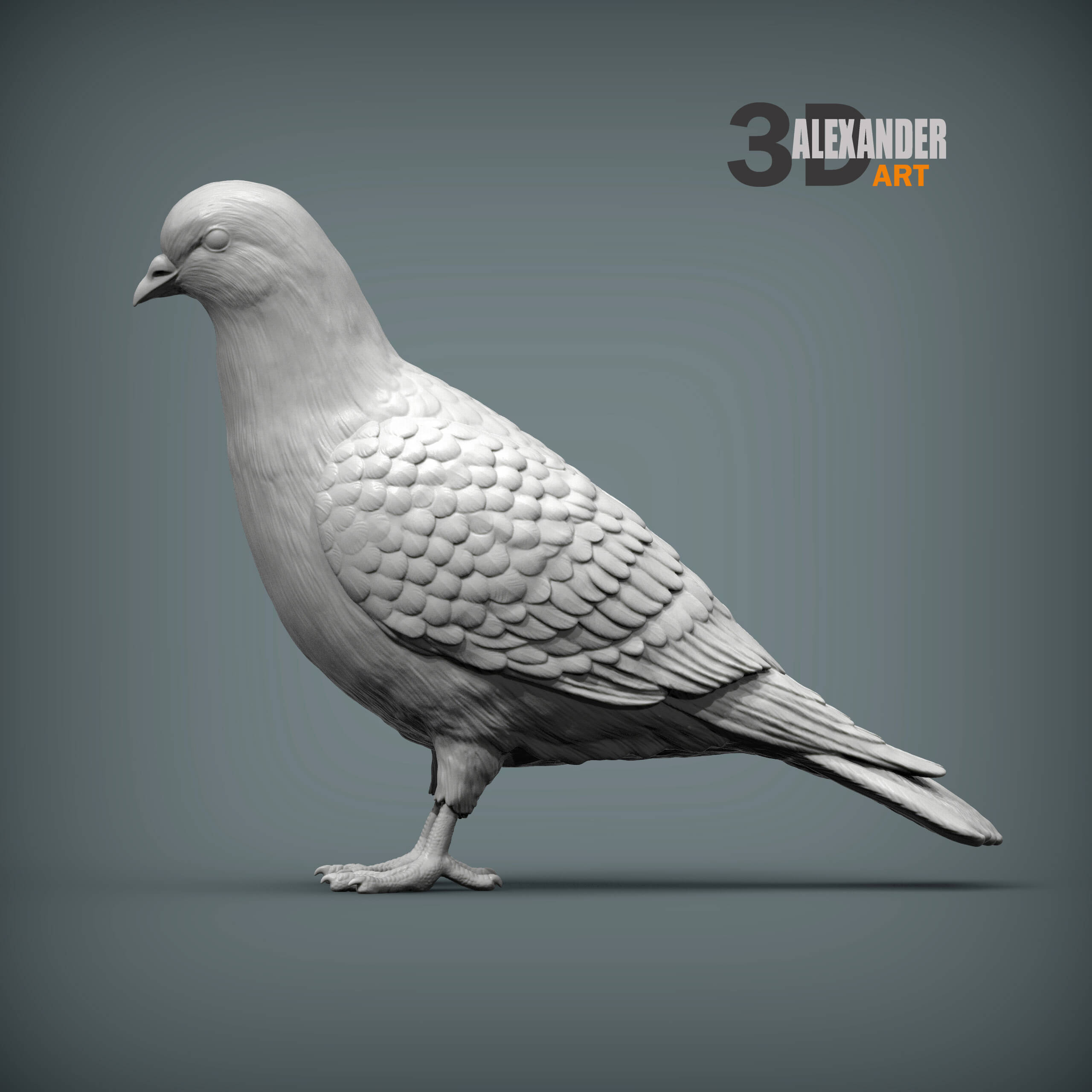 Pigeon Sculpture - 3D Model by Alexander3dart