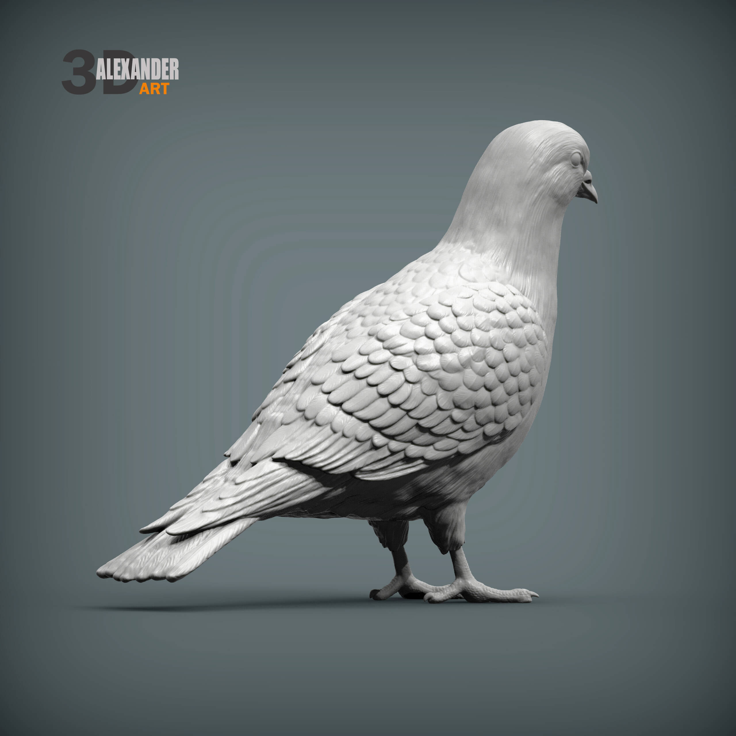 Pigeon Sculpture - 3D Model by Alexander3dart