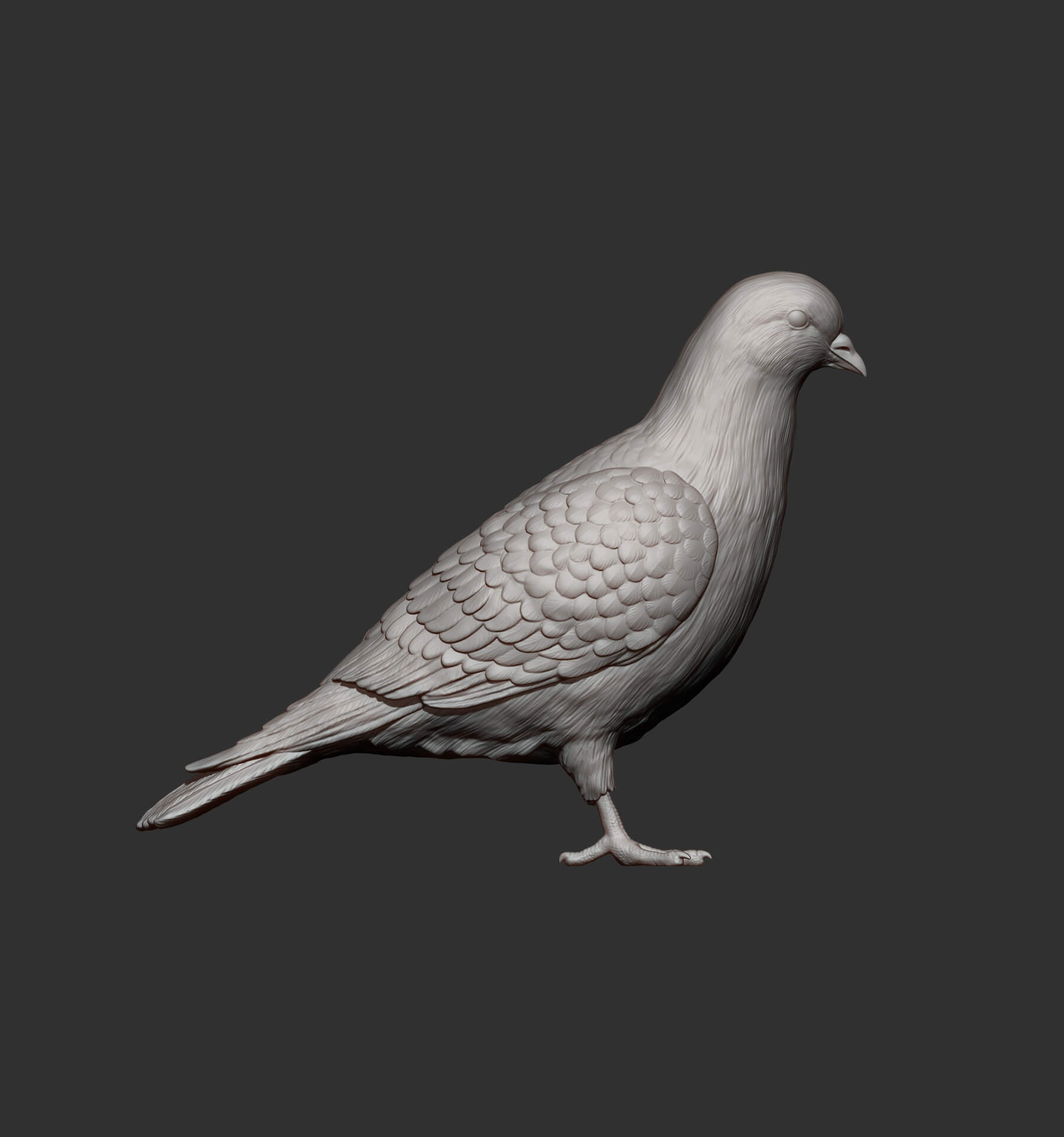 Pigeon Sculpture - 3D Model by Alexander3dart